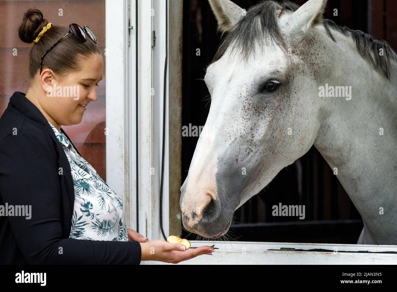 Thoroughbred horse owner hi-res stock photography and images - Alamy