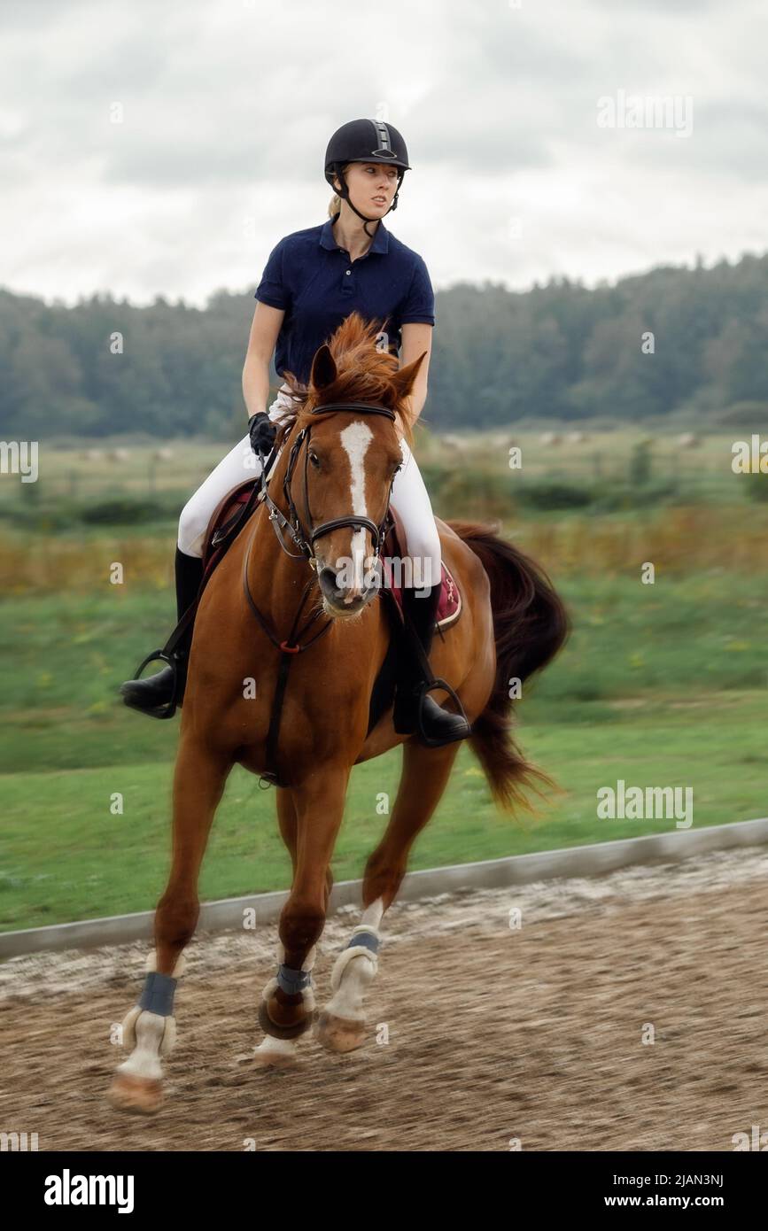 Girl, horse rider, during a match, in torque, high speed, in motion ...
