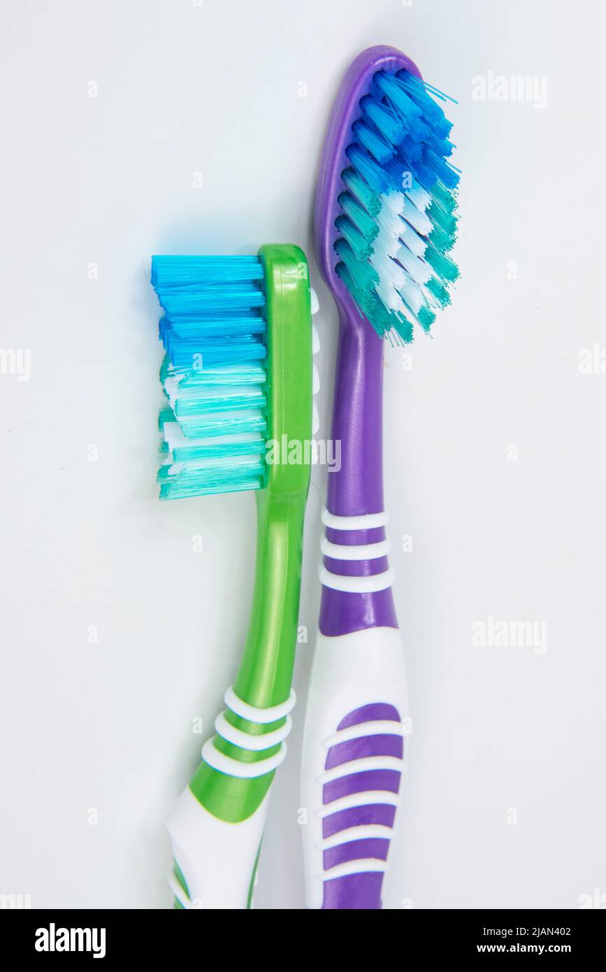 Bristle teeth hi-res stock photography and images - Alamy