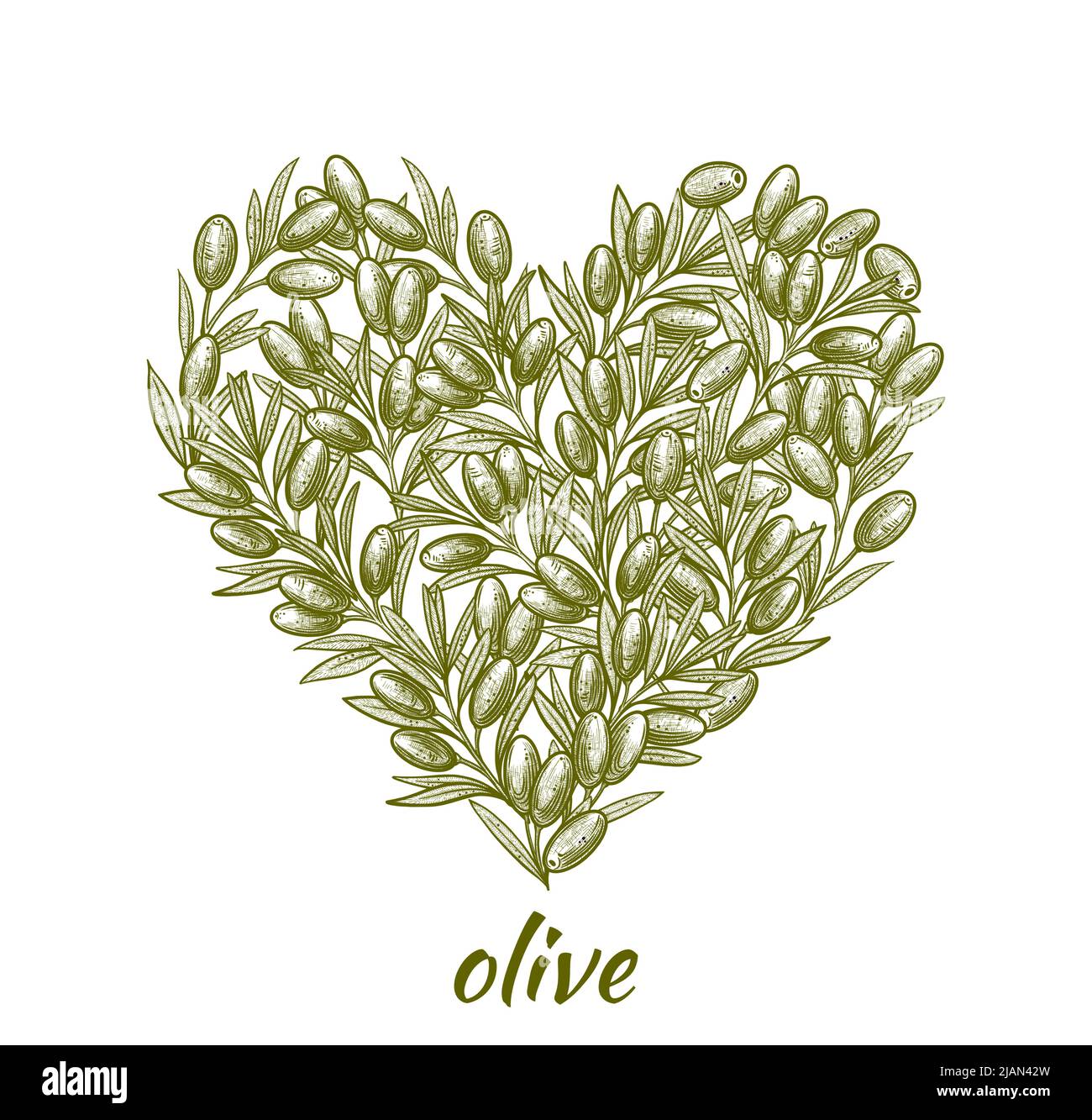 Olives in the shape of a heart. Hand drawn olive illustration ...