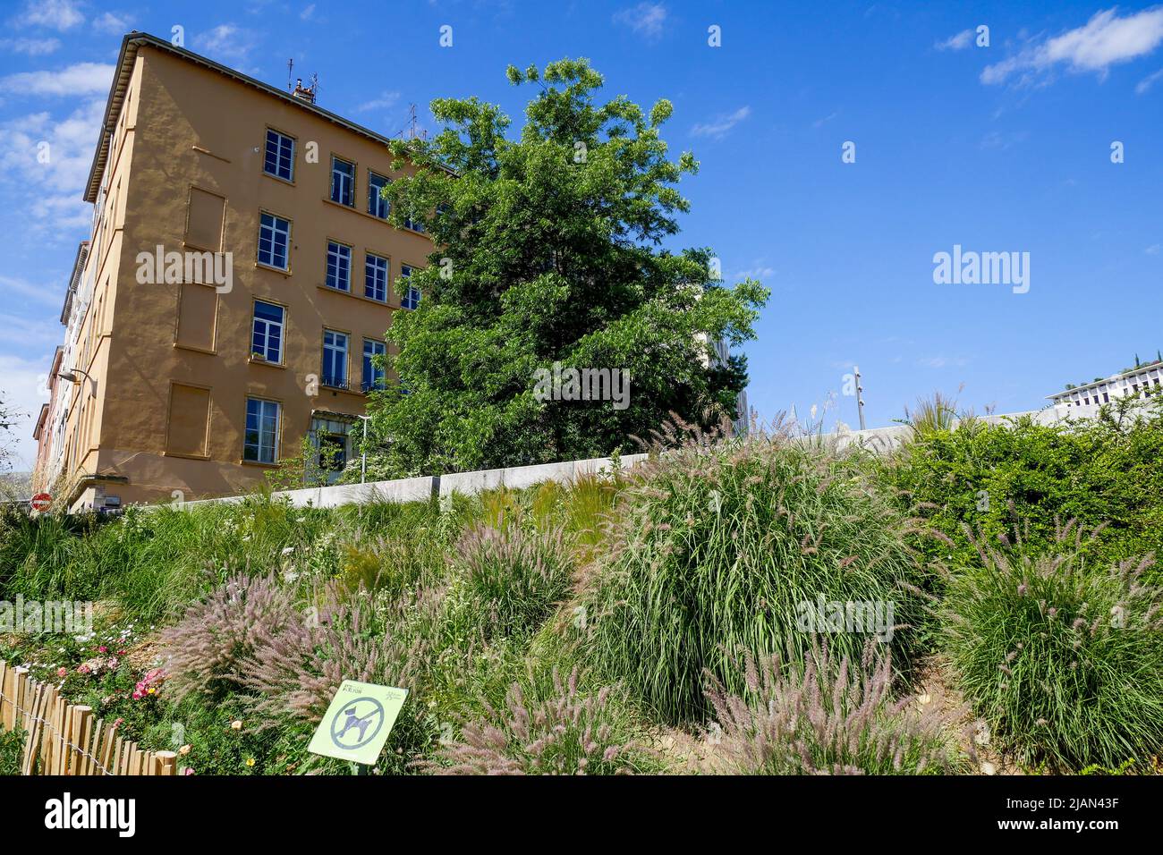 Le Gros Caillou garden, Croix-Rousse district, Lyon, Auvergne Rhone ...