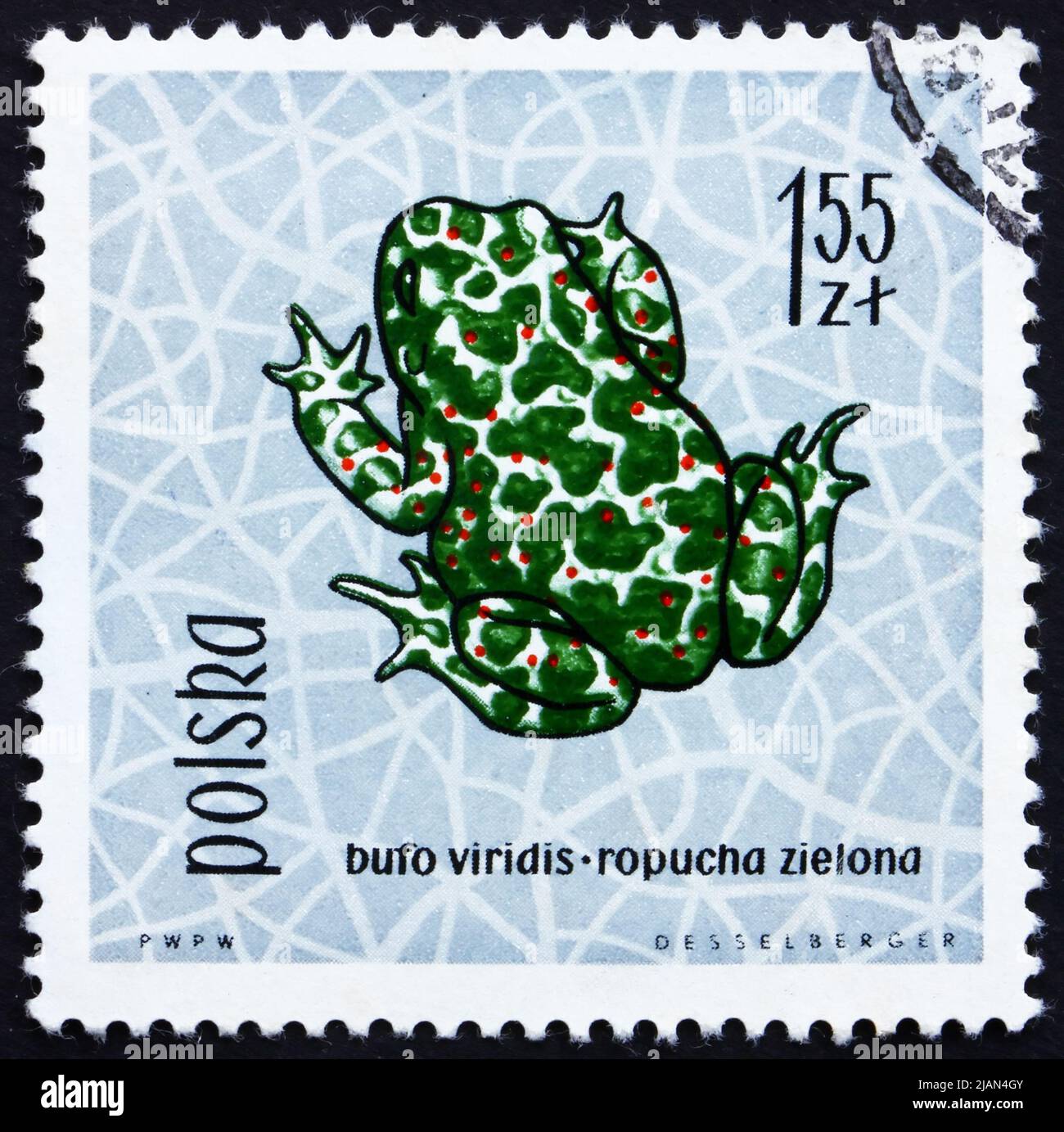 POLAND - CIRCA 1963: a stamp printed in the Poland shows Green Toad ...
