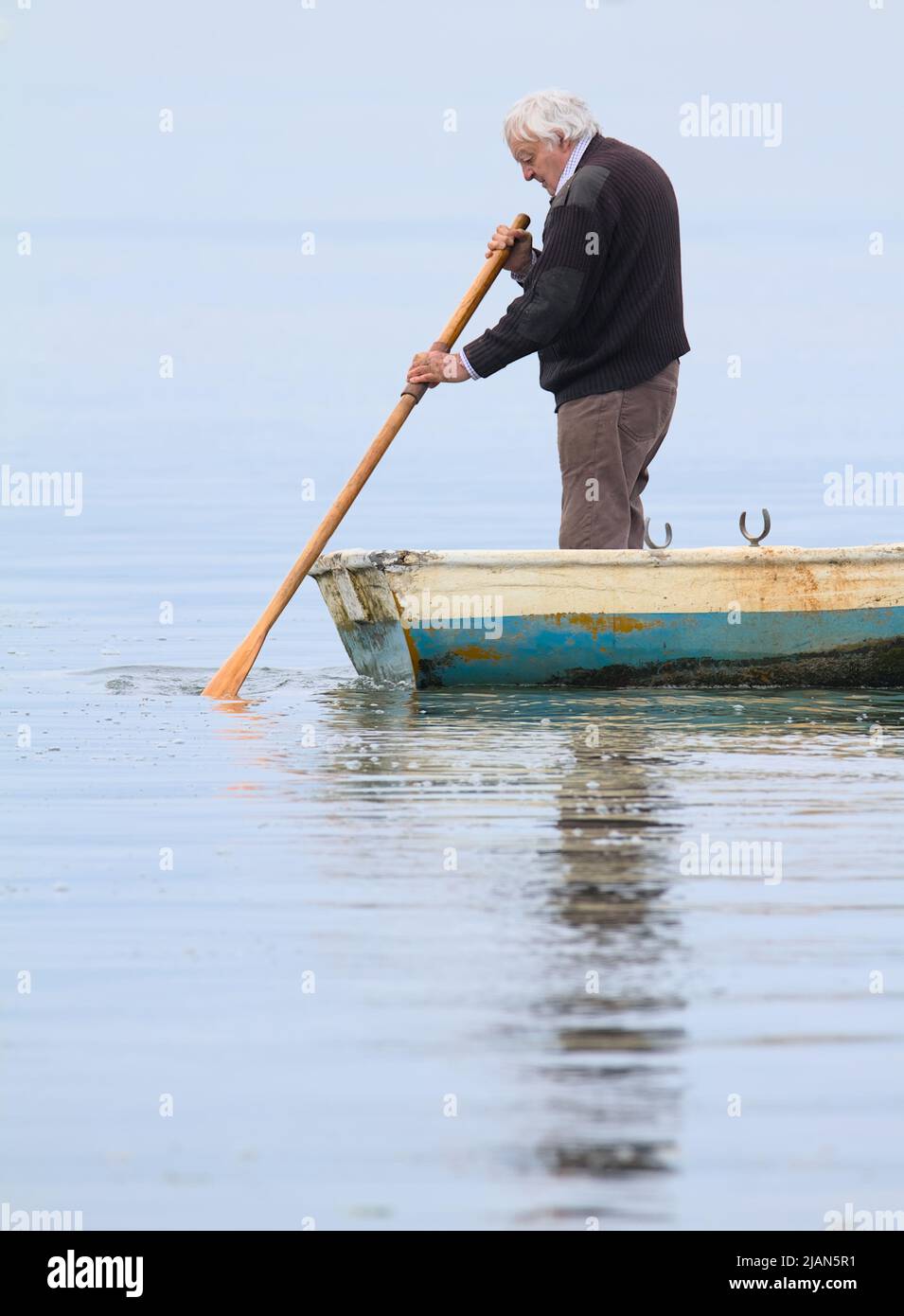 Sculling hi-res stock photography and images - Alamy
