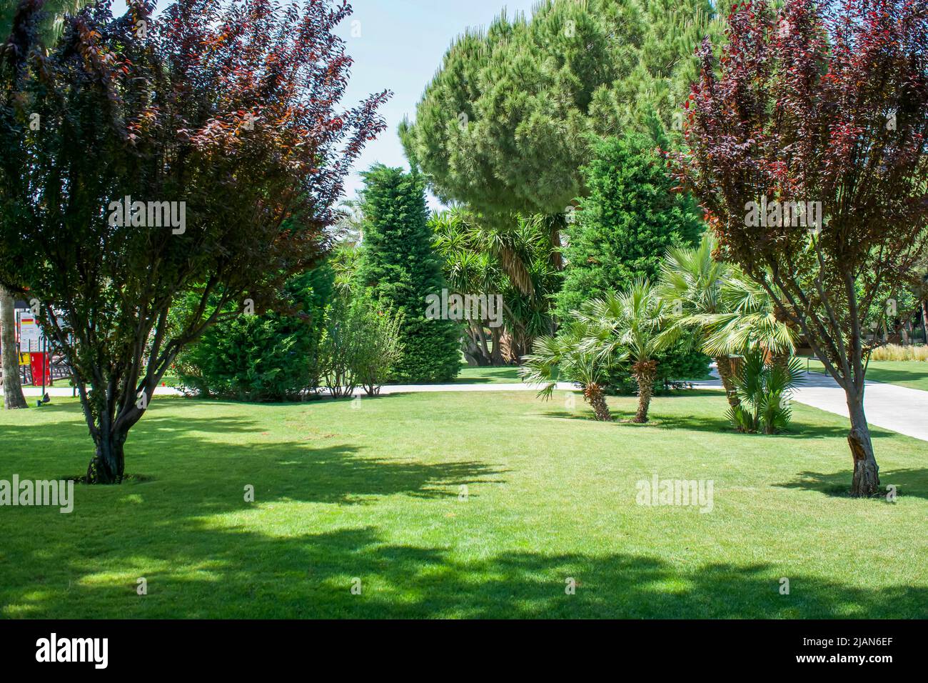 Green park and tree in garden background. Beautiful landscape of grass ...