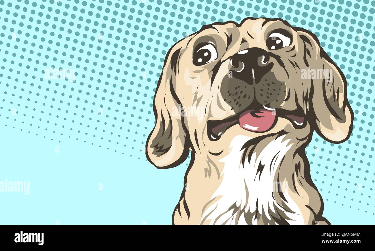 Cute domestic dog. Head portrait. Friendly funny pet. One animal ...