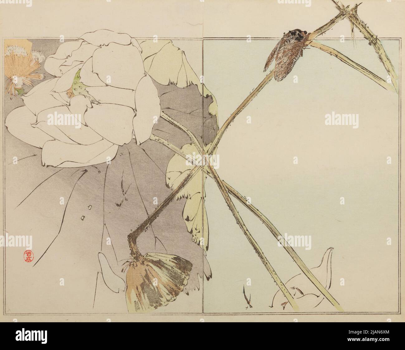 Watanabe seitei shotei hi-res stock photography and images - Alamy