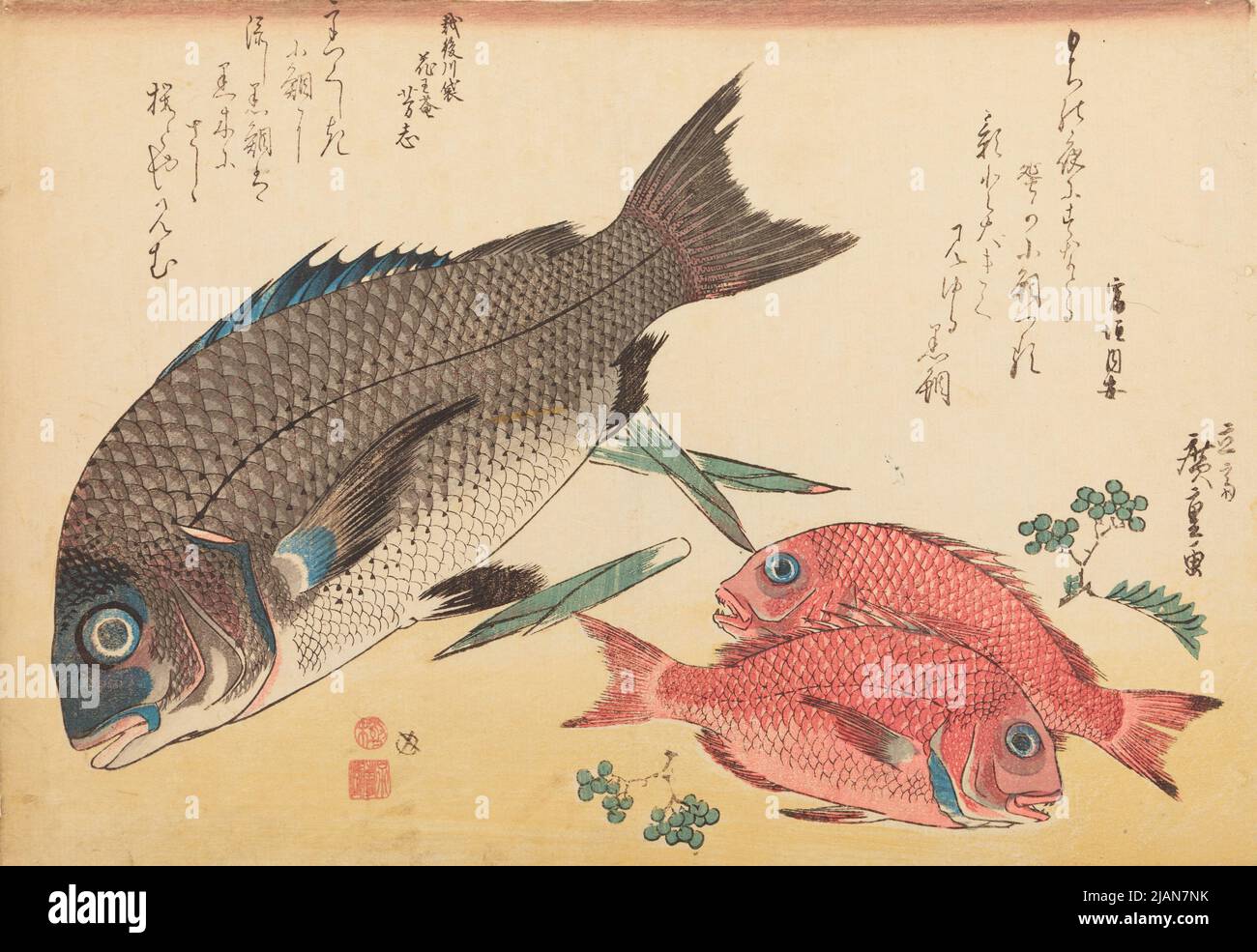 Large, grey fish and two smaller pink ones, from the series: Fish and ...