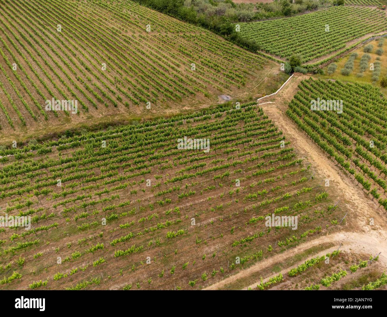 Vineyards from above aerial drone hi-res stock photography and images ...