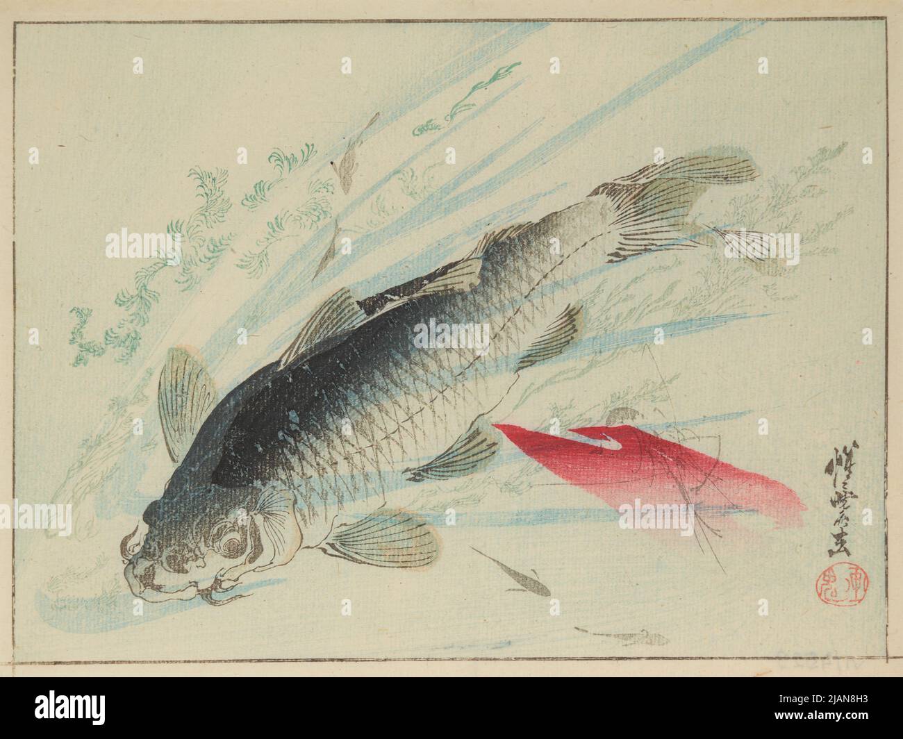 Shosho hi-res stock photography and images - Alamy