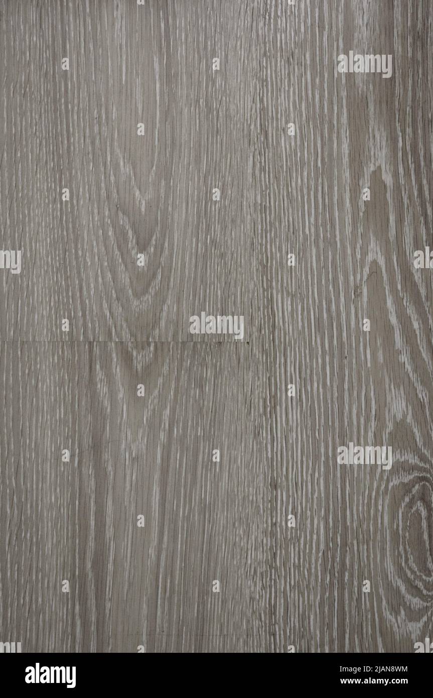 Wood texture. Wood texture for design and decoration Stock Photo - Alamy