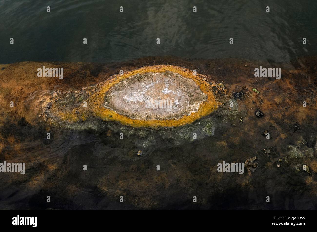 Deposits carried by mineral-rich volcanic hot spring water build up ...