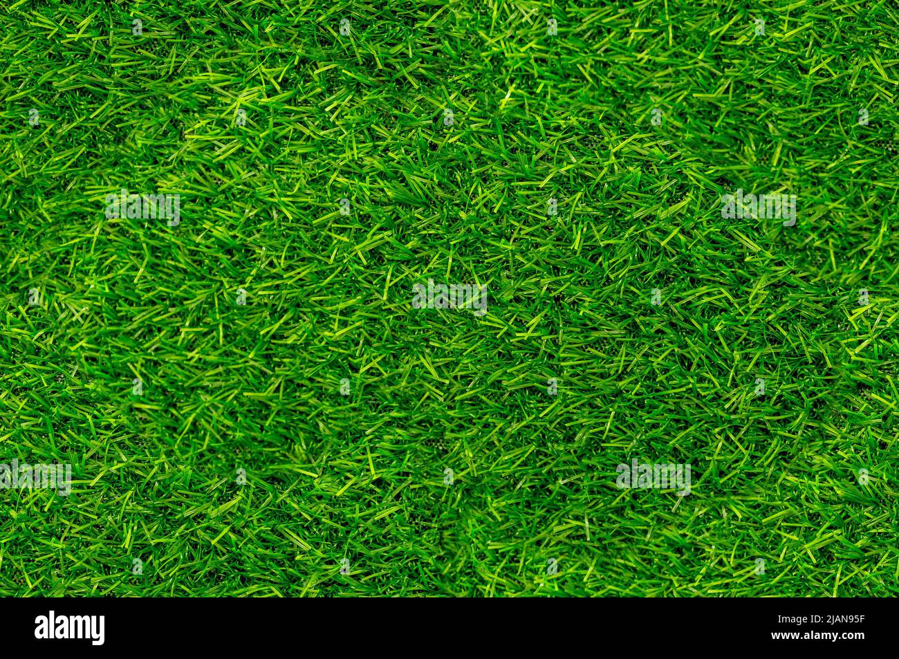 Green grass seamless texture. Seamless in only horizontal dimension ...