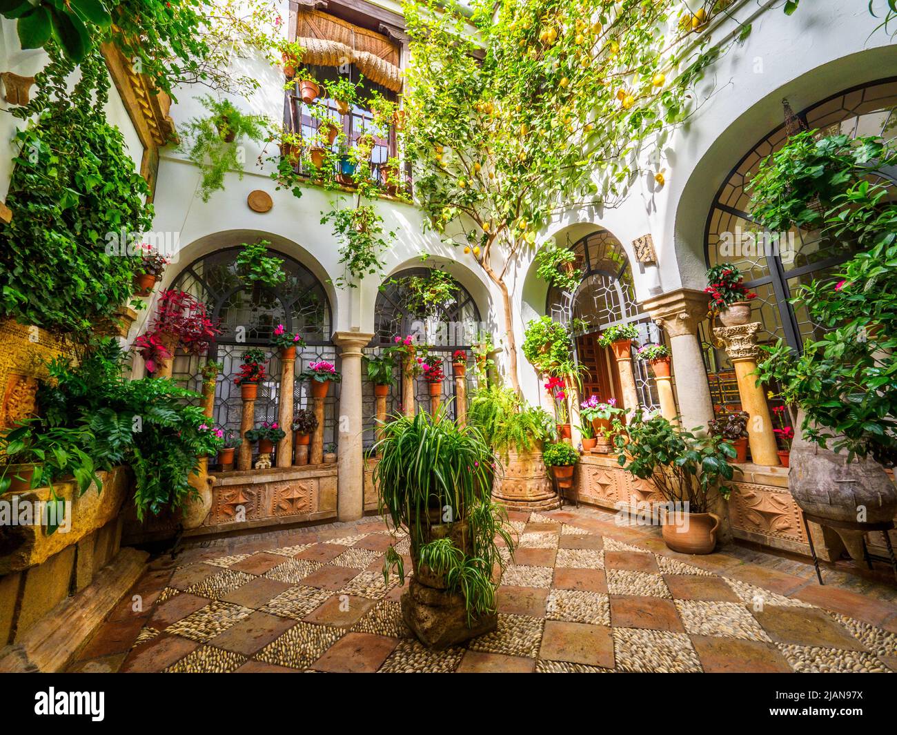 Traditional Andalusian courtyard full of plants and flowers in the old ...