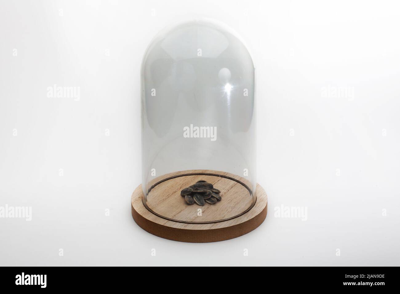 Precious sunflower seeds Stock Photo - Alamy