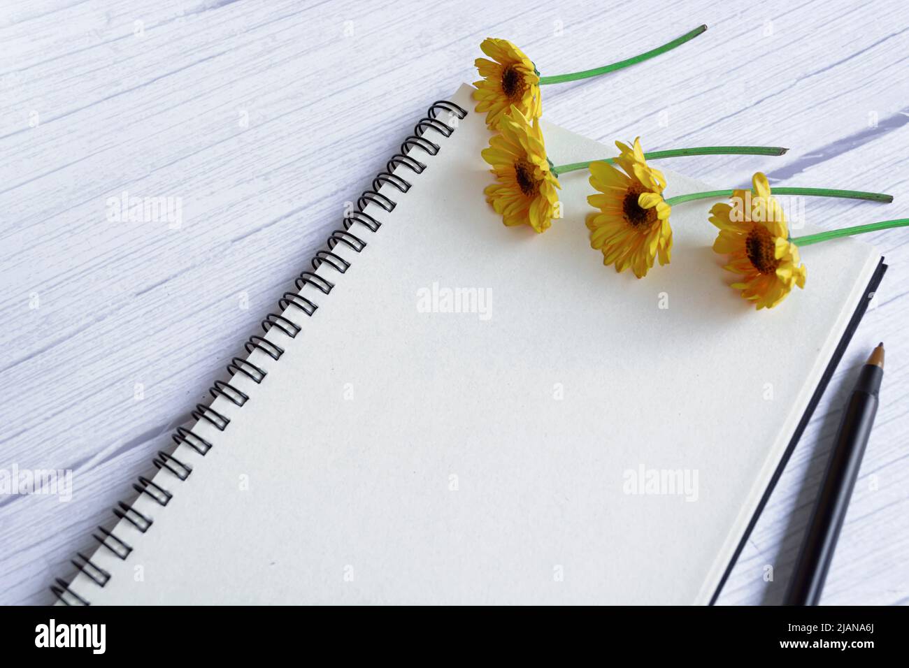 Note book flat lay with sunflowers on wooden desk. Directly above. Copy ...