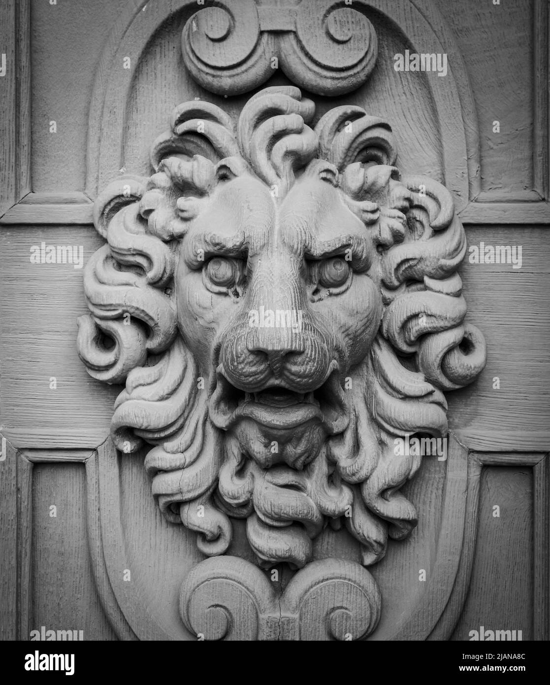 Decorative element lion head Black and White Stock Photos & Images - Alamy
