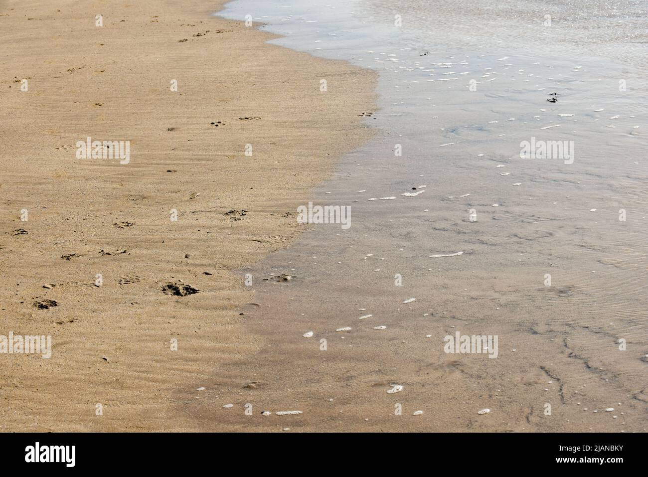 Sea shore with ocean water lapping at the sandy beach Stock Photo - Alamy