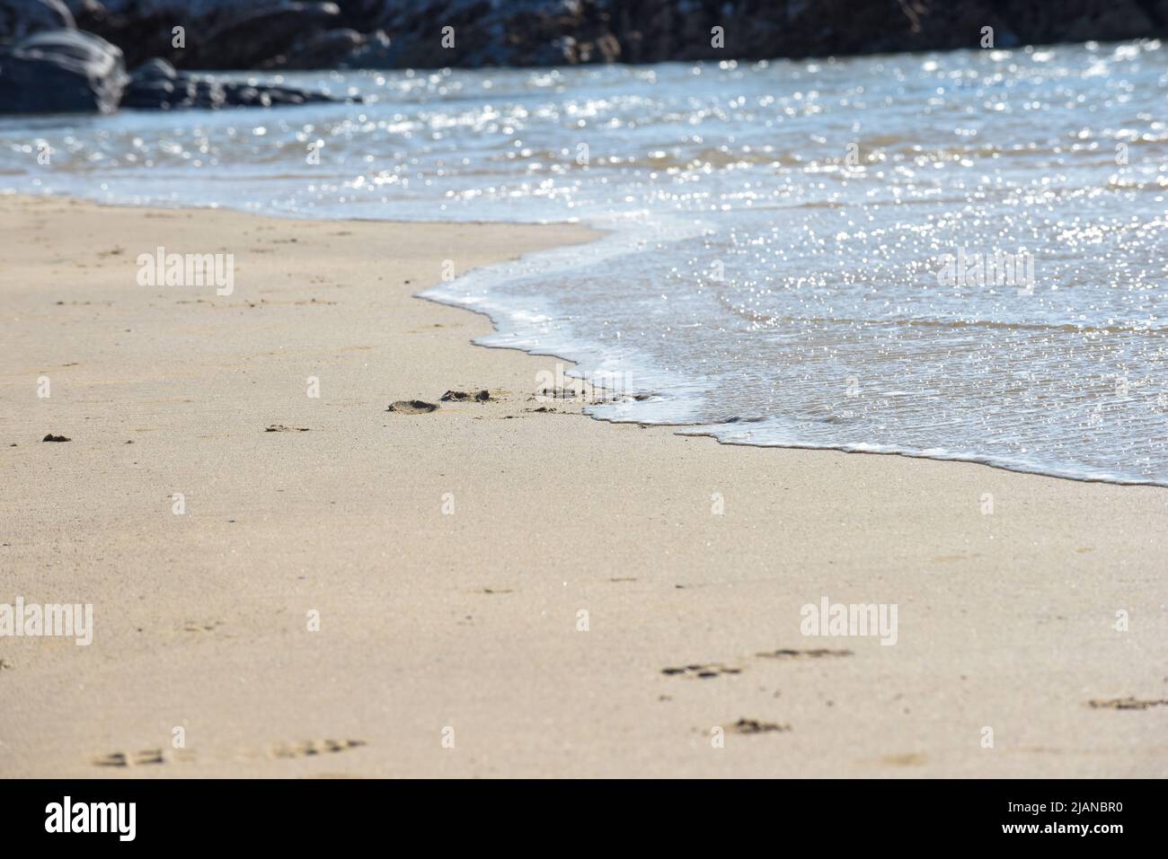 Sea shore with ocean water lapping at the sandy beach Stock Photo - Alamy