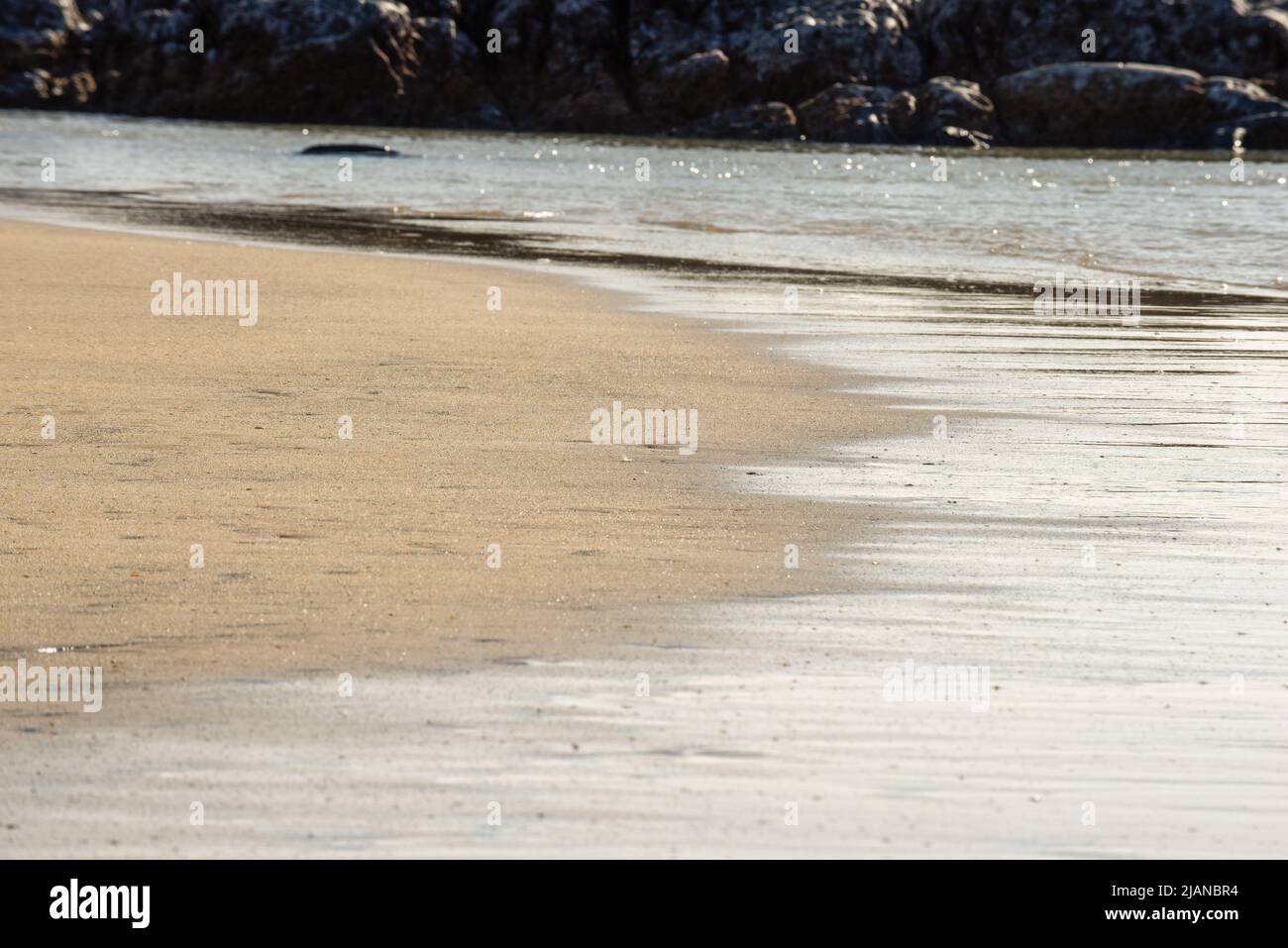 Sea shore with ocean water lapping at the sandy beach Stock Photo - Alamy