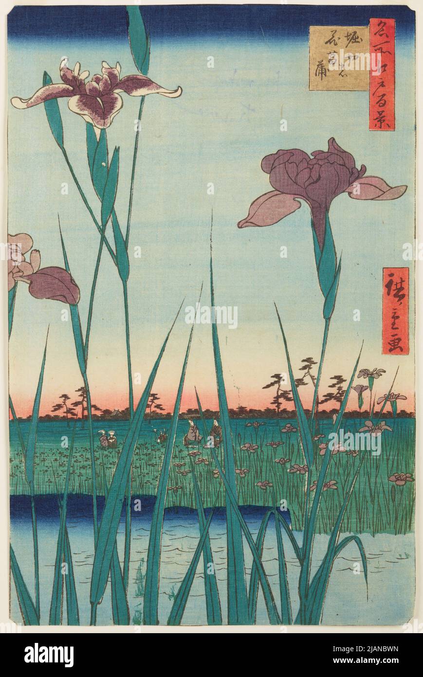 Horikiri no hanashobu hi-res stock photography and images - Alamy