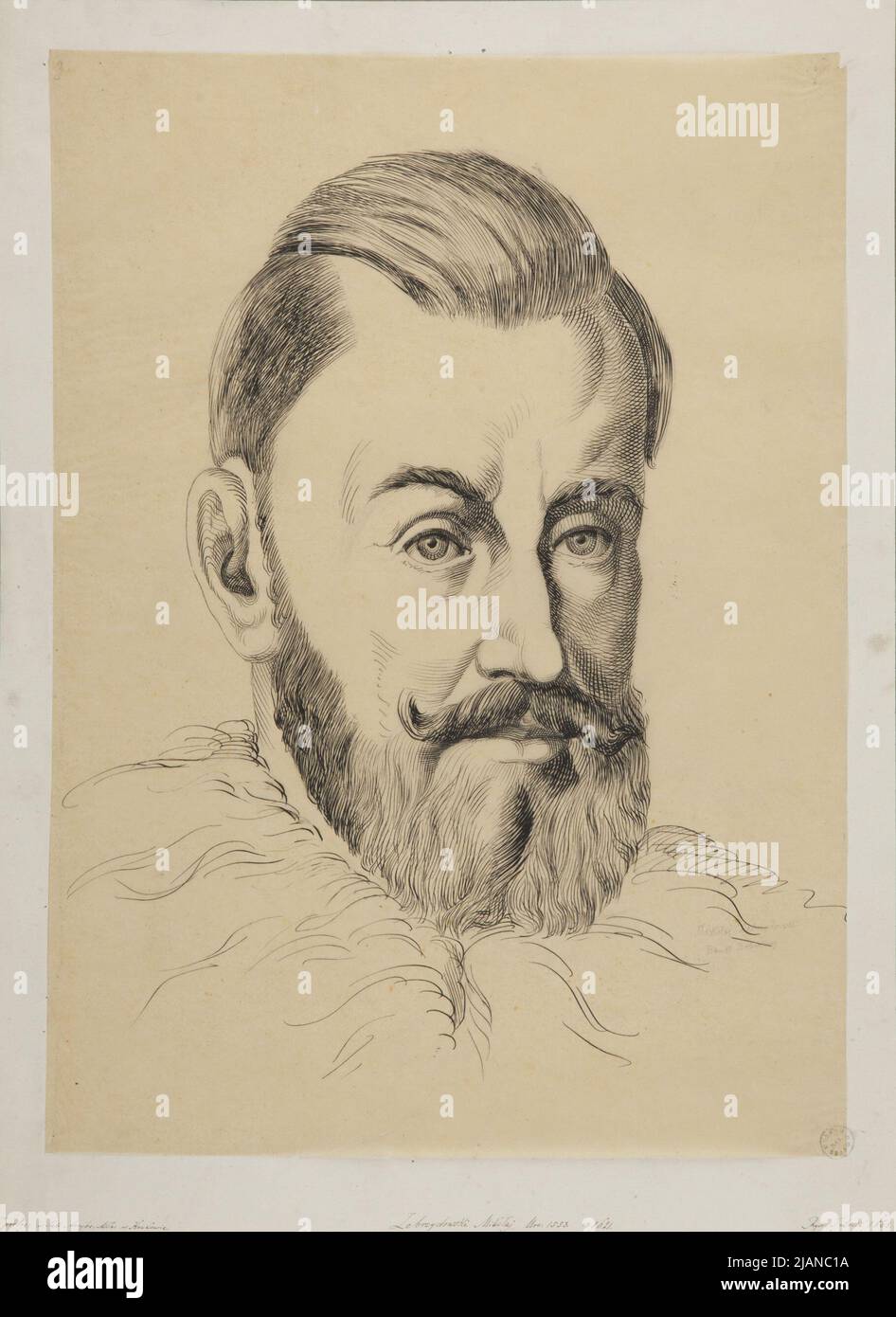 Zebrzydowski hi-res stock photography and images - Alamy