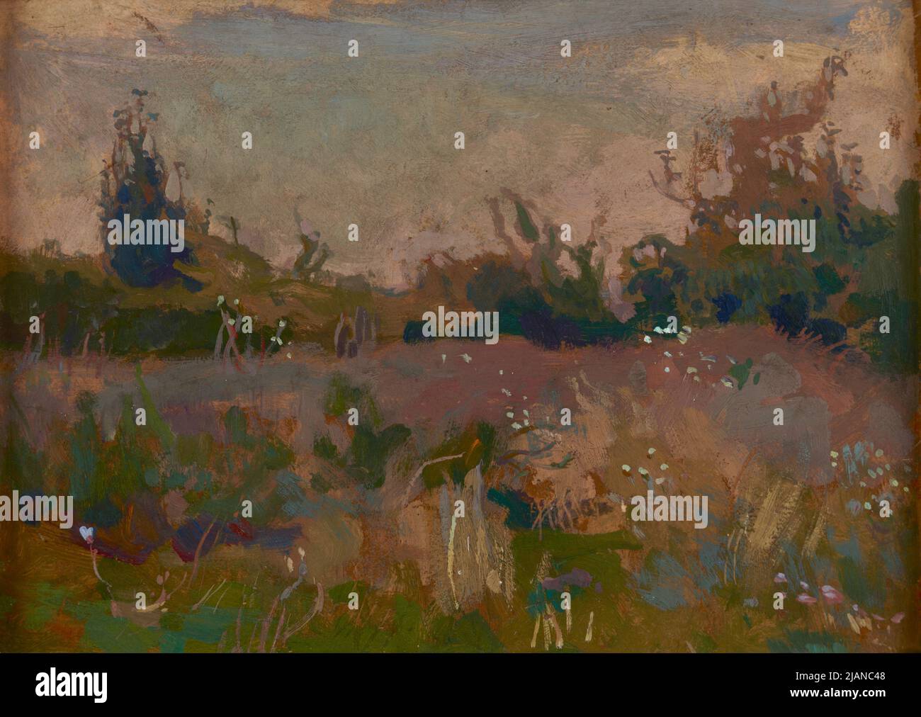 Protection thicket hi-res stock photography and images - Alamy