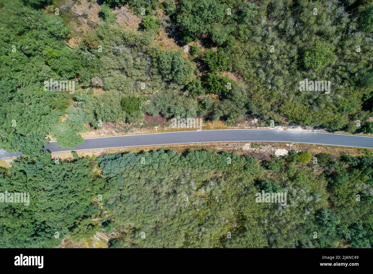 Drone aerial view of a road through holm oak trees Stock Photo - Alamy