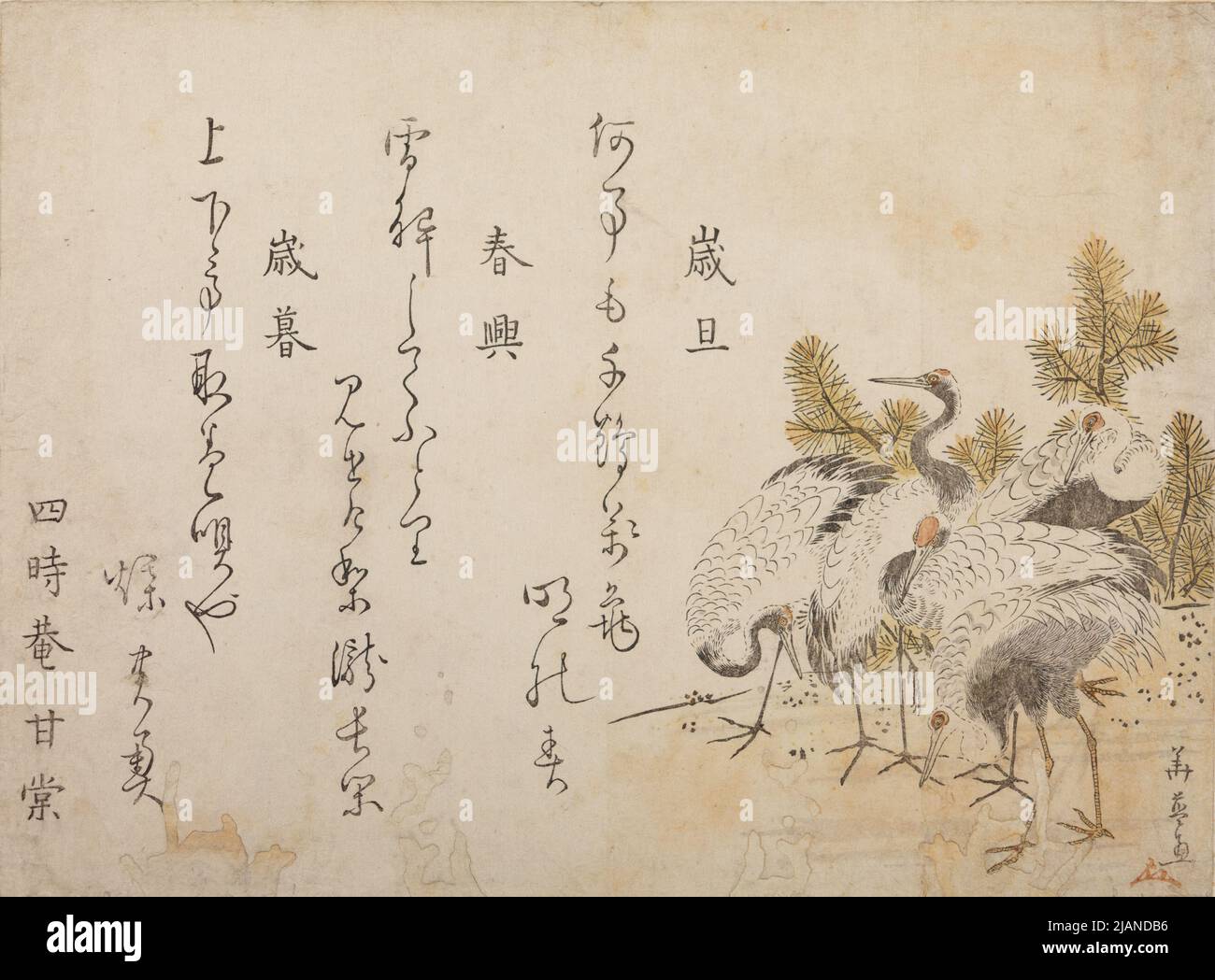 Five cranes mana Stock Photo - Alamy