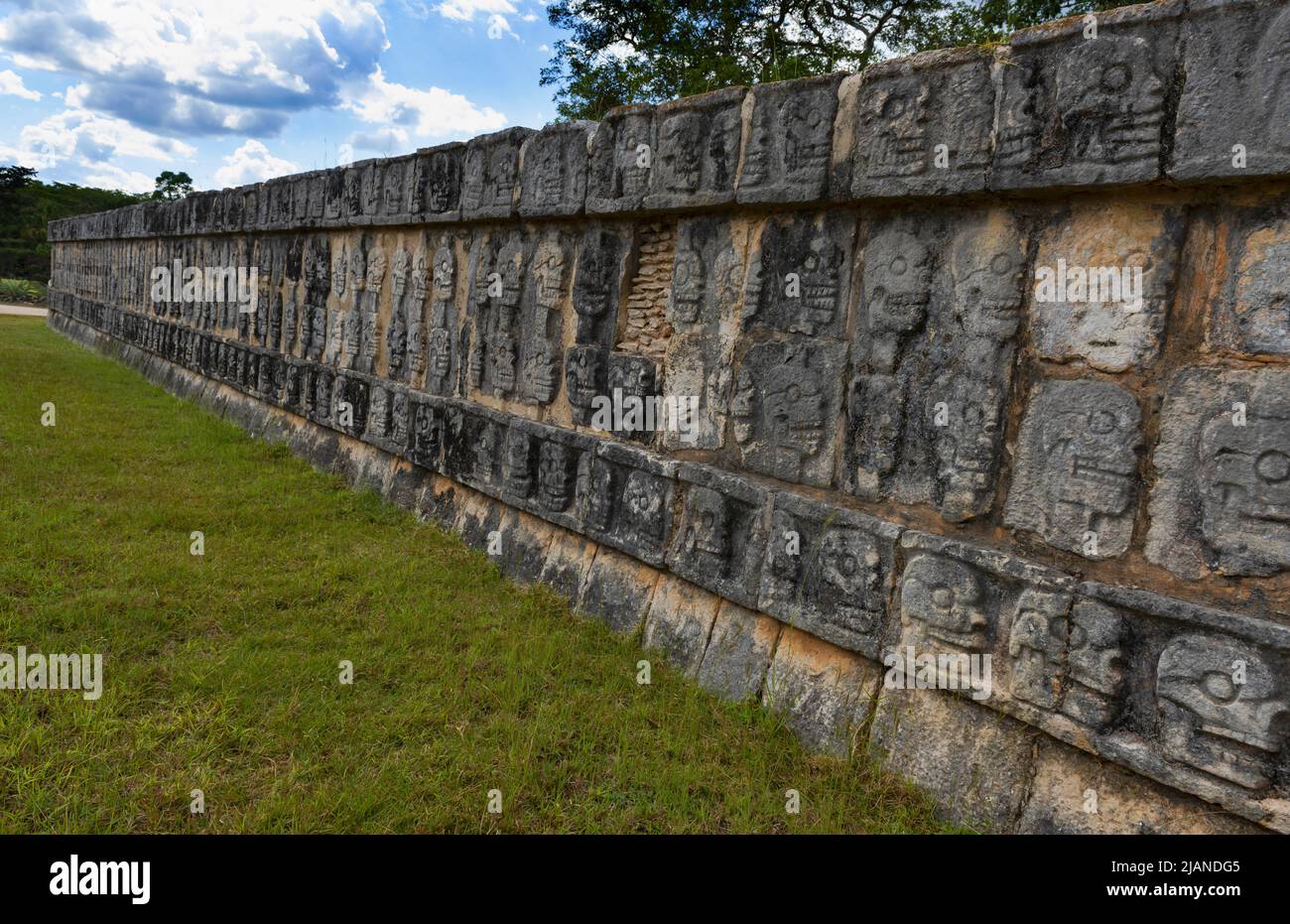 Skull platform hi-res stock photography and images - Alamy