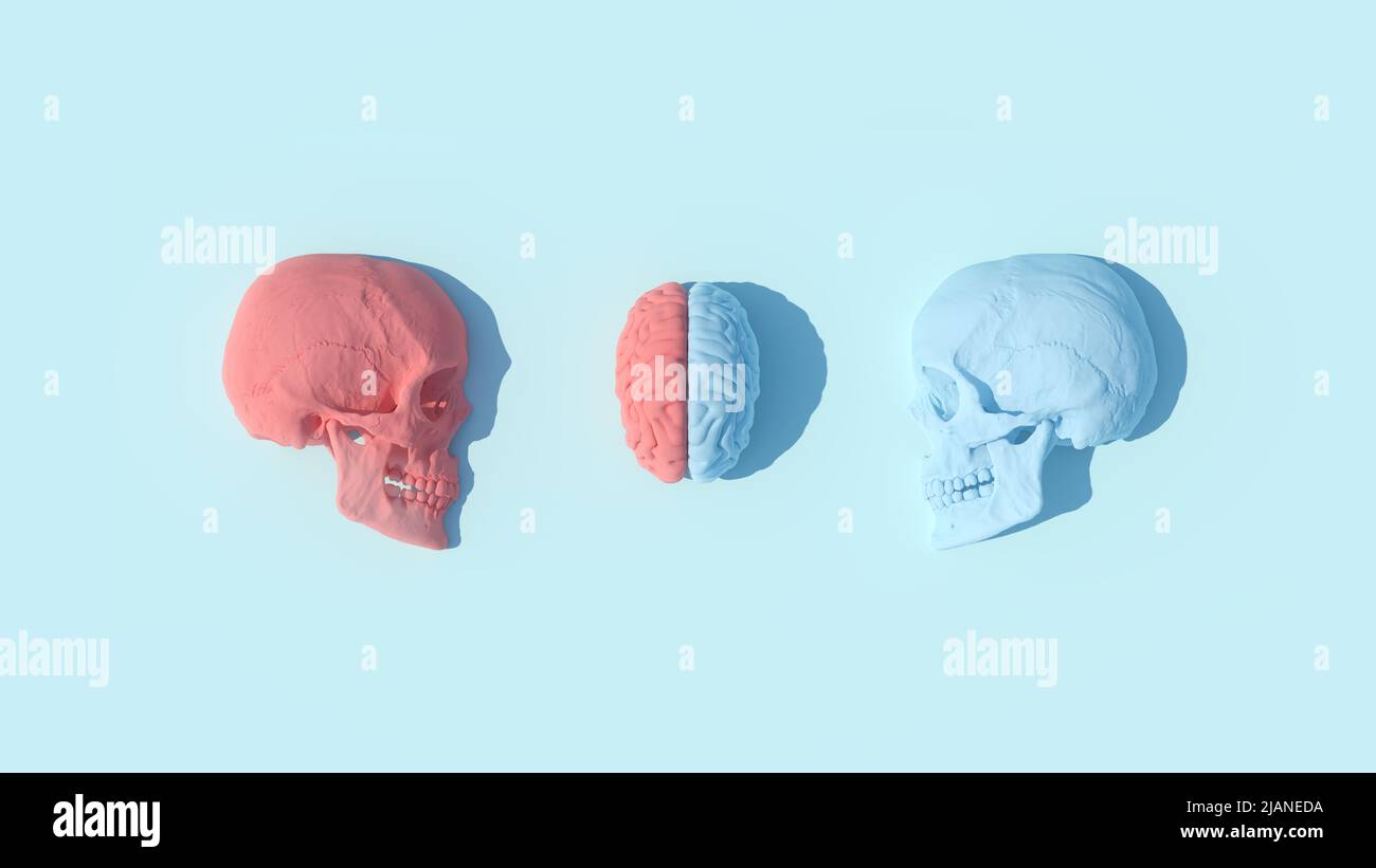 Red and pale blue hi-res stock photography and images - Alamy