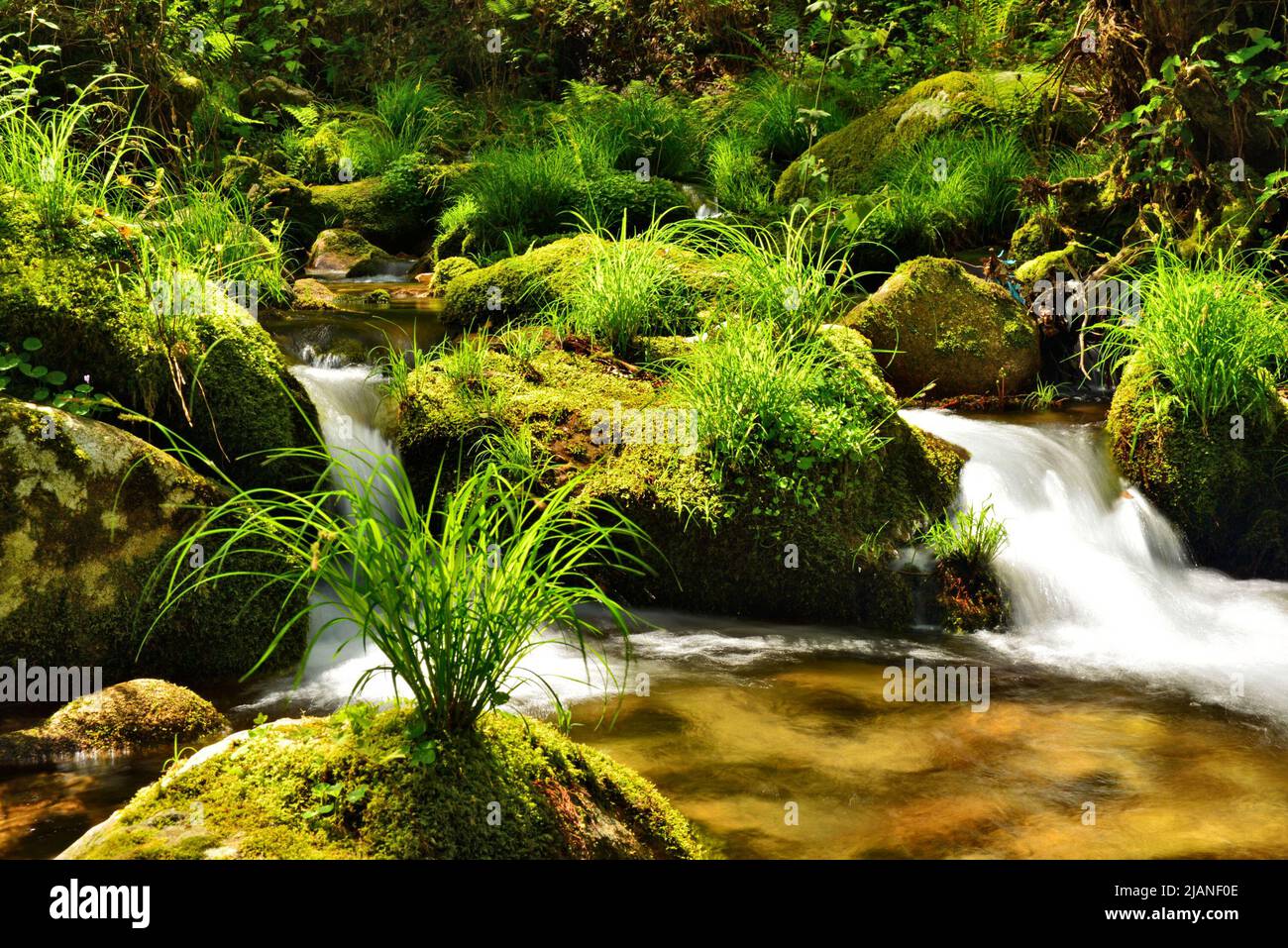 Spring motion hi-res stock photography and images - Alamy