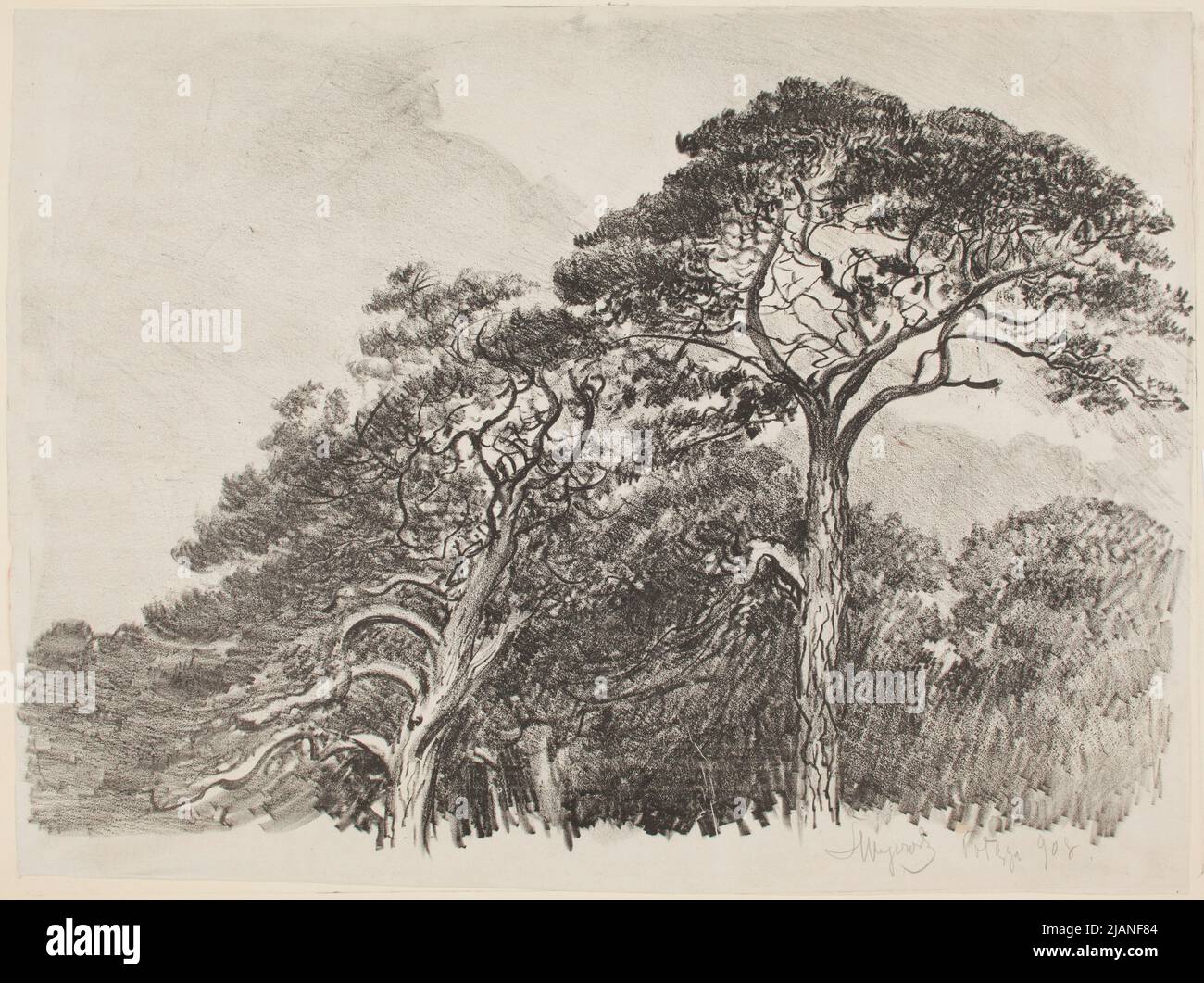 Two pines from Zągga Wyczózó Kowski, Leon (1852 1936 Stock Photo - Alamy