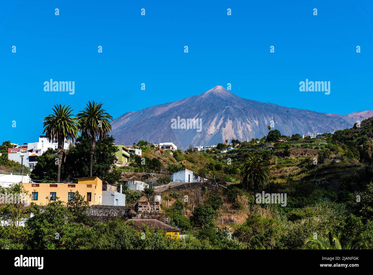 View of the Teide volcano from Icod de los Vinos on a sunny day with ...