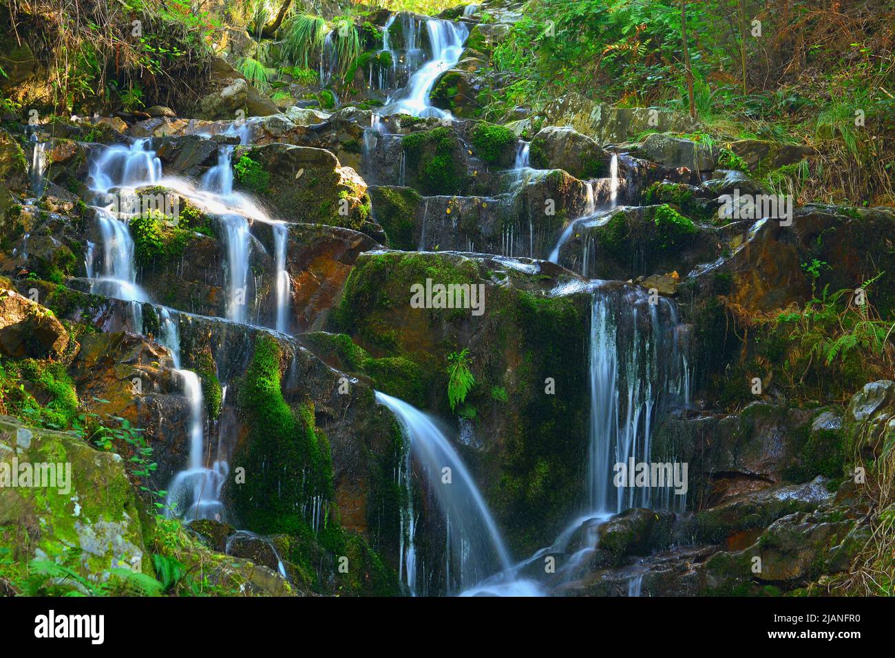 Joao fragoso hi-res stock photography and images - Alamy