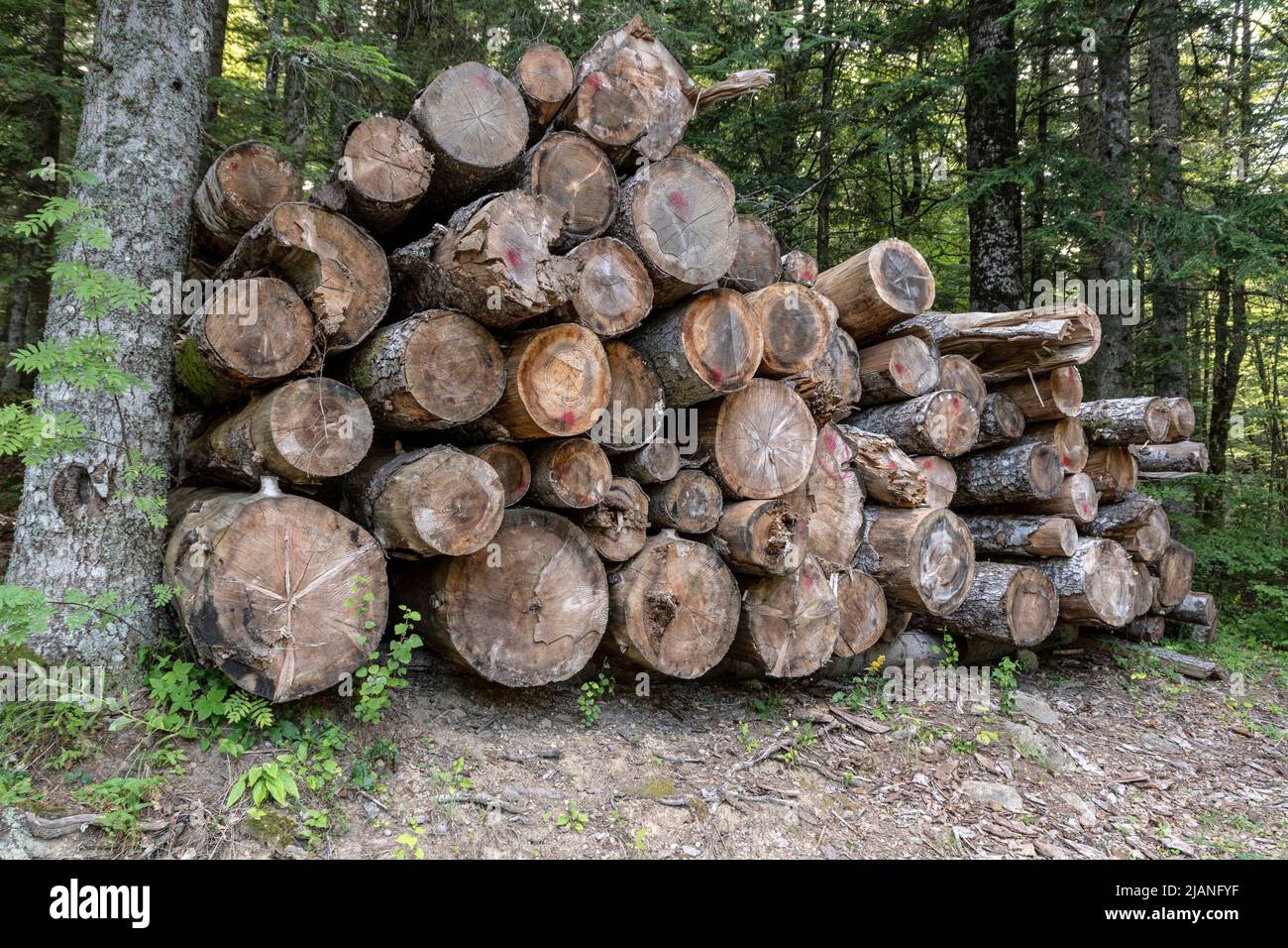 Arranged stack hi-res stock photography and images - Alamy