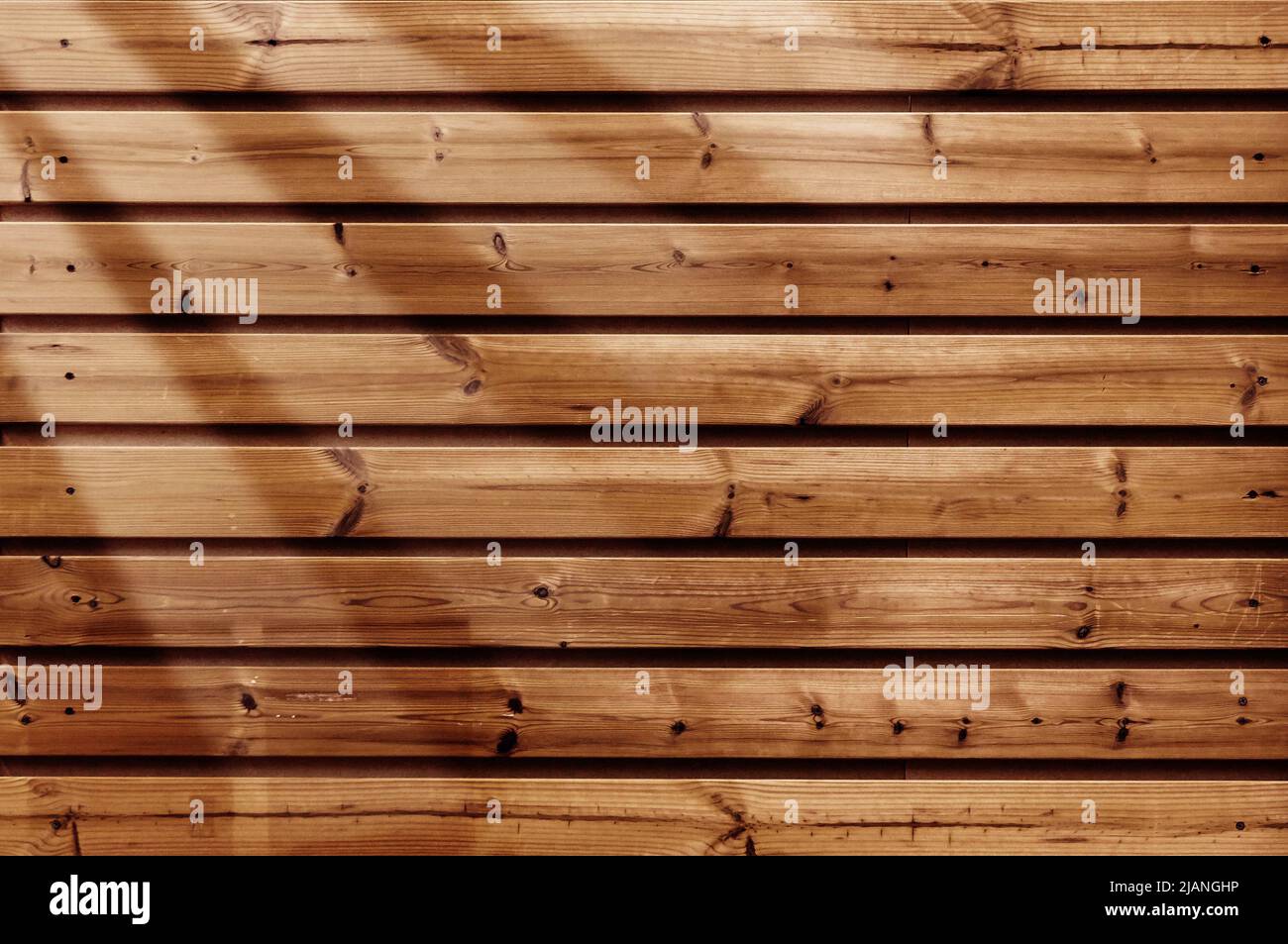background with wood texture, place for text Stock Photo - Alamy