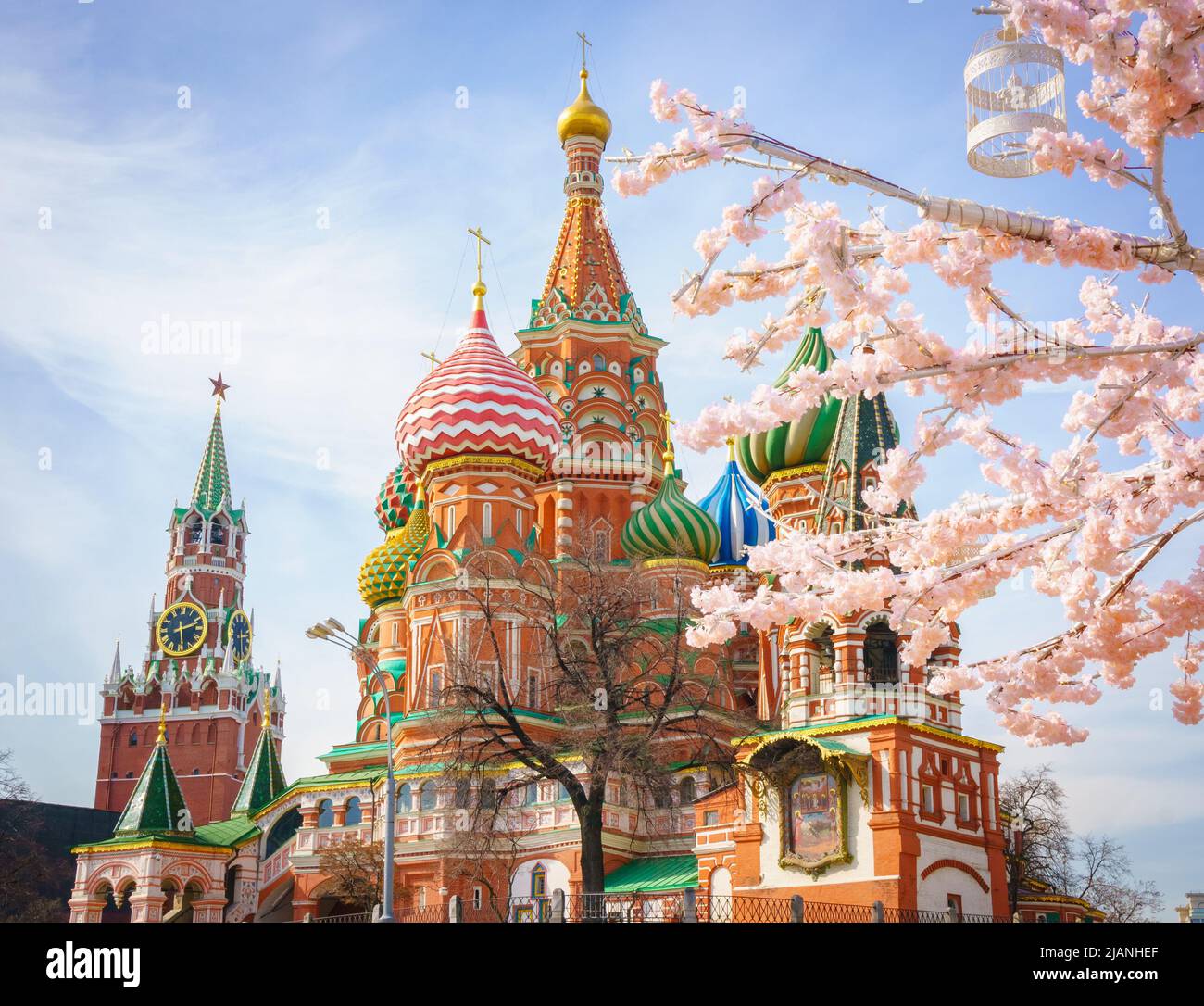 Moscow and St. Basil Cathedral at spring day through flowering tree ...