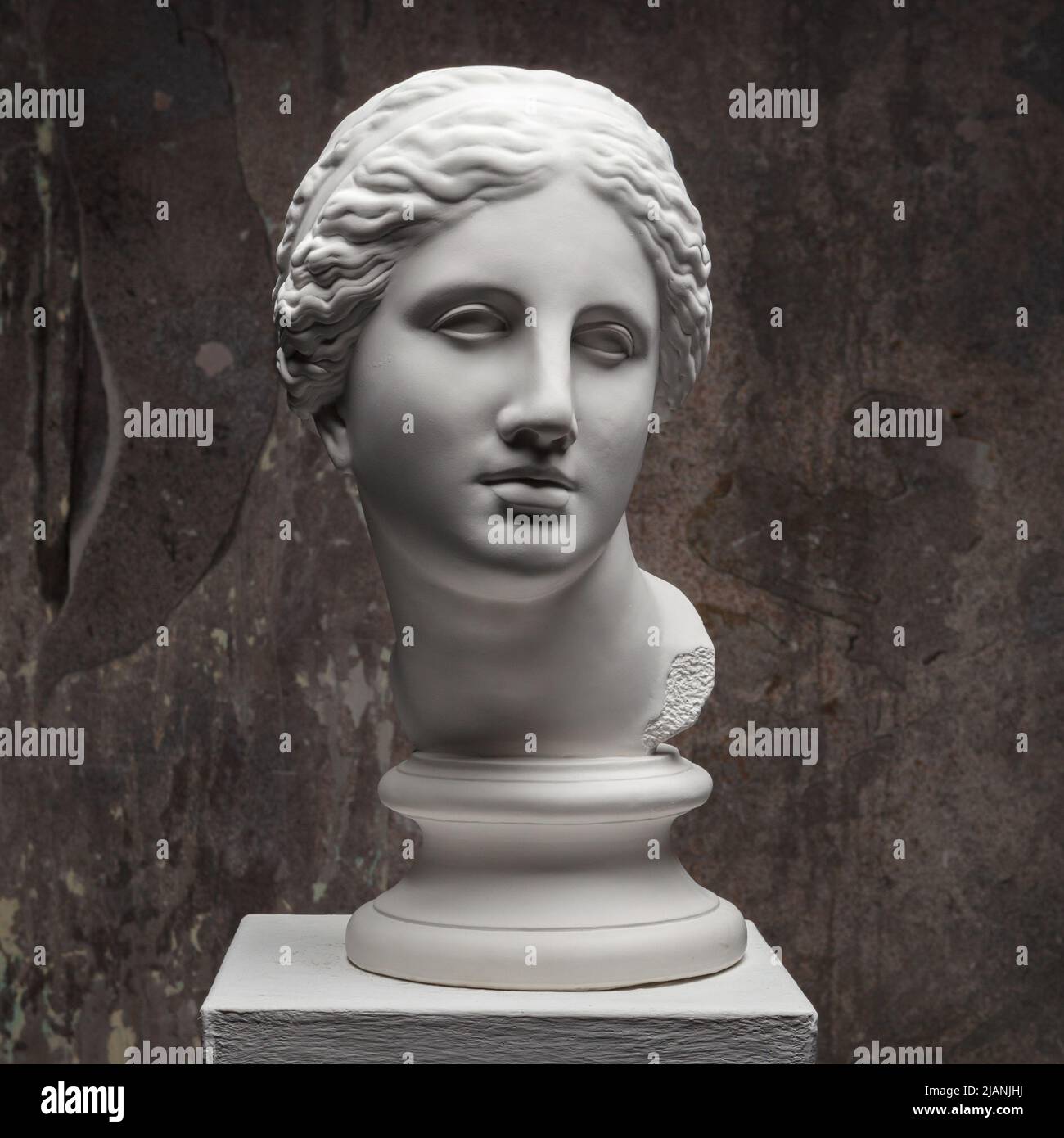 Venus Goddess Statue Face