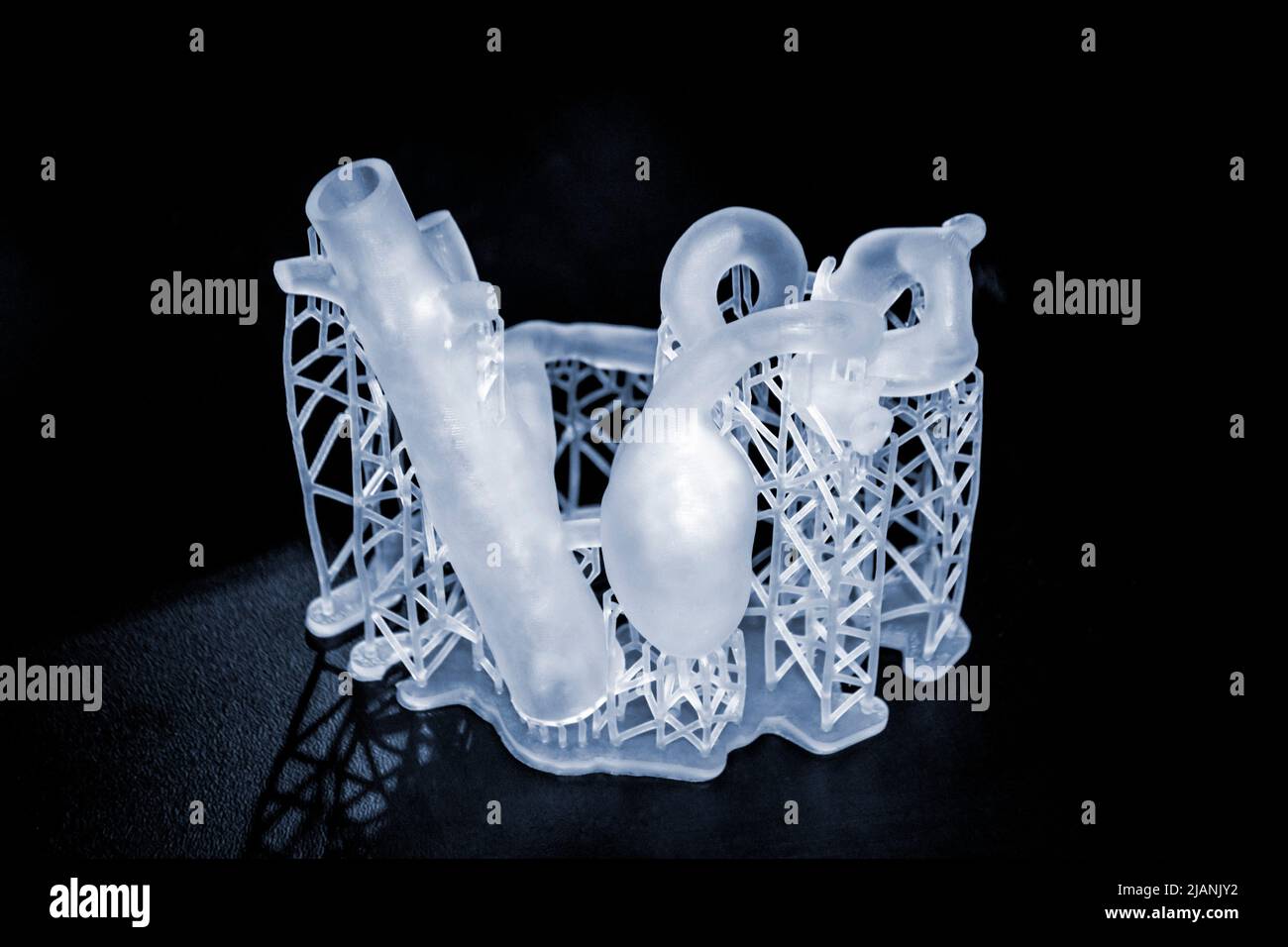 3d Printed Human Heart