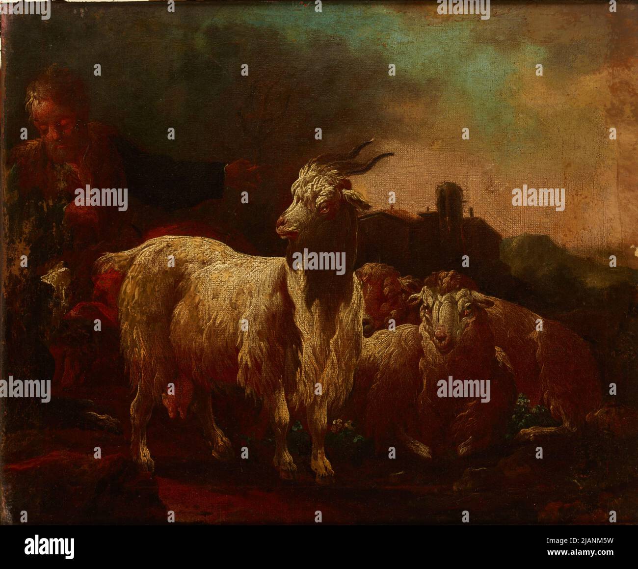 Goats and Sheep Roos, Philipp Peter (1655/57 1706 Stock Photo - Alamy