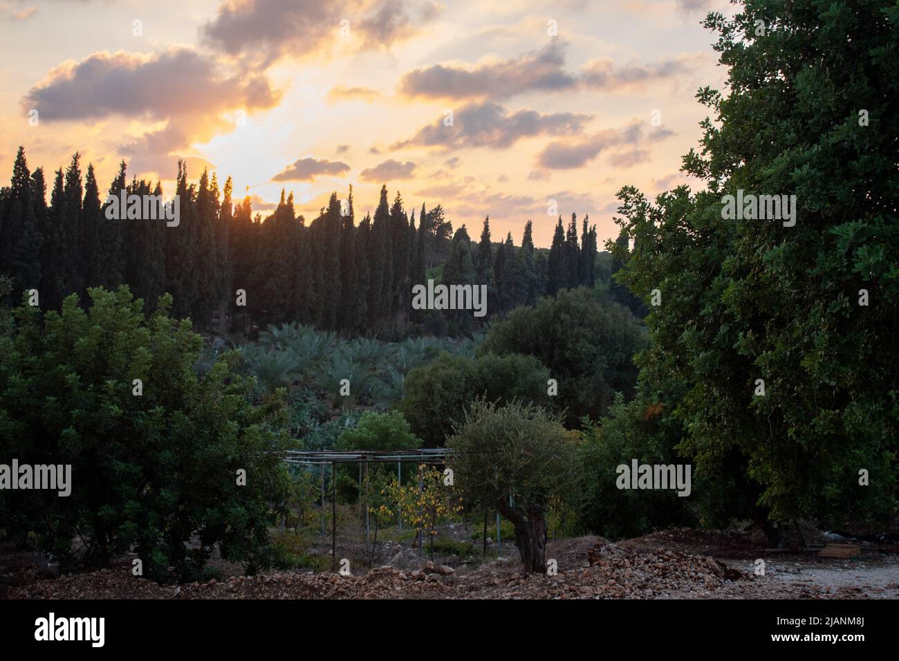A city images from churches to old historic houses and destinations to ...