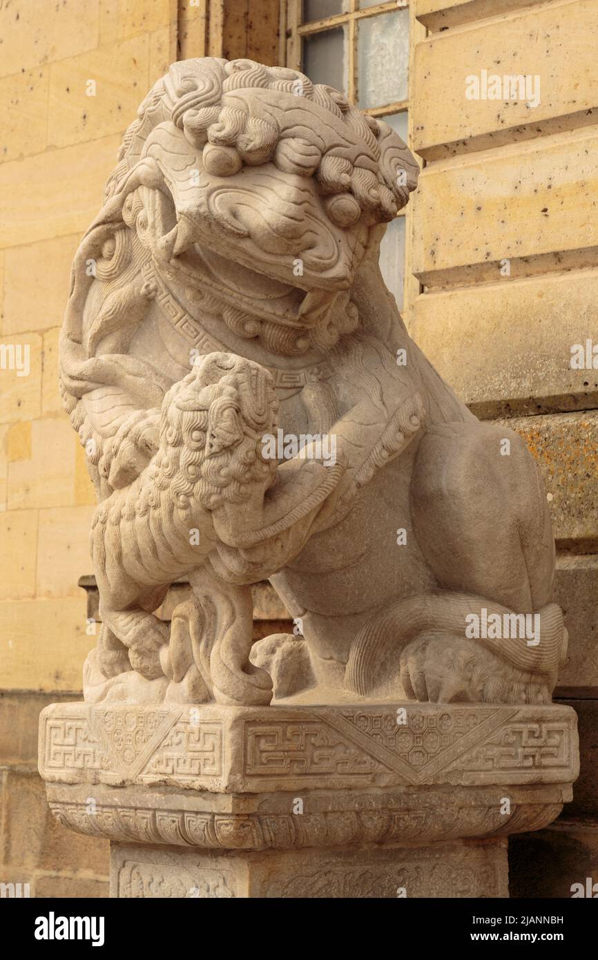 Lion marble face, Chinese Lion, stone carving sculpture, the symbol of ...