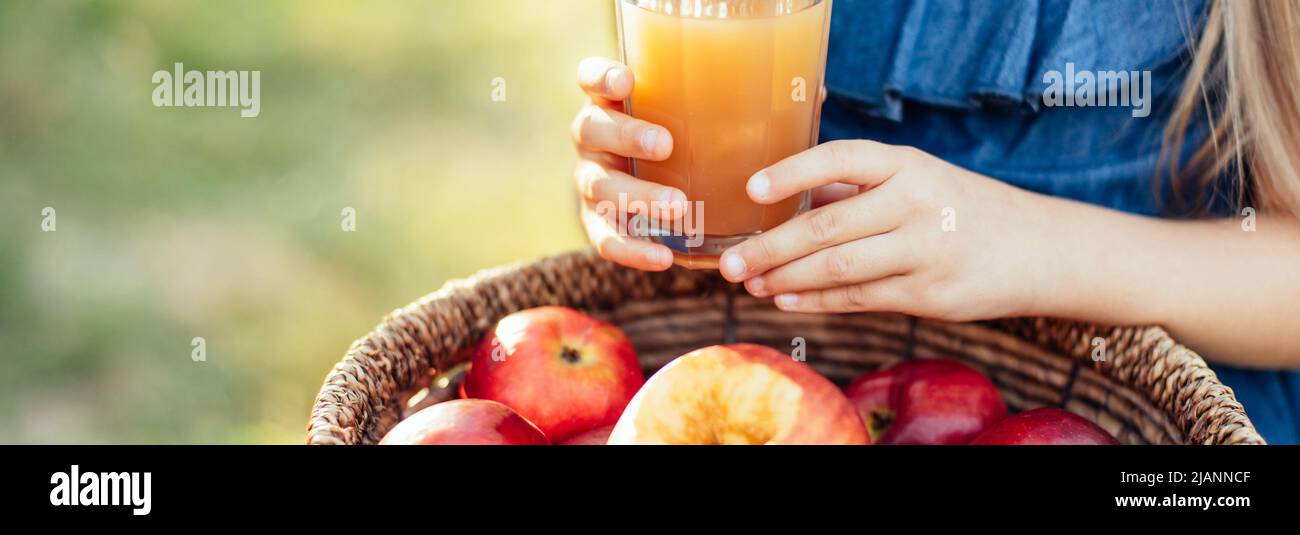 Child picking apples on farm in autumn. Healthy nutrition. Cute little ...