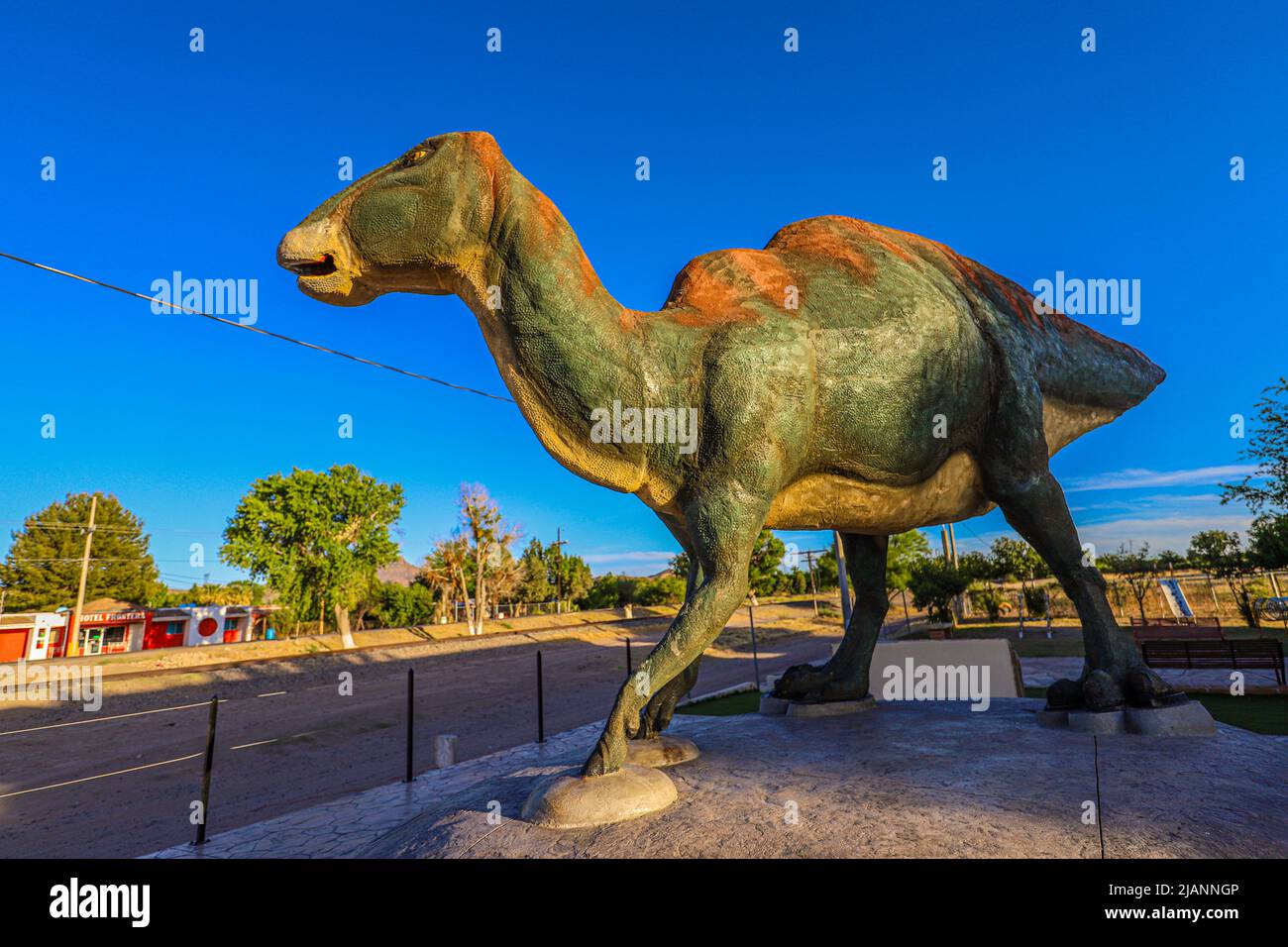 Escala de dinosaurio hi-res stock photography and images - Alamy