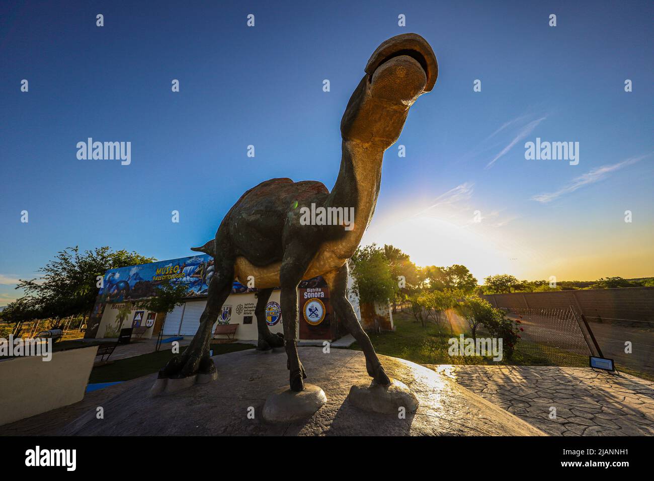 Giant-scale sculpture of a duck-billed dinosaur at the Paleontological ...