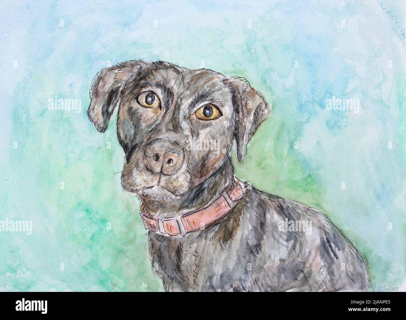 Watercolour painting dog hi-res stock photography and images - Alamy
