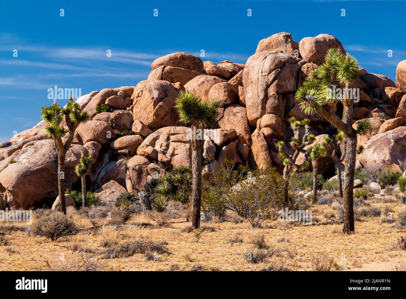 peculiar rock formations of big boulders of rock in Joshua Tree ...