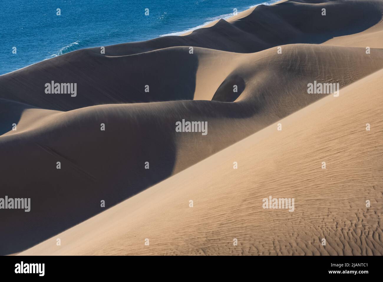 Namibia, the Namib desert, landscape of yellow dunes falling into the ...