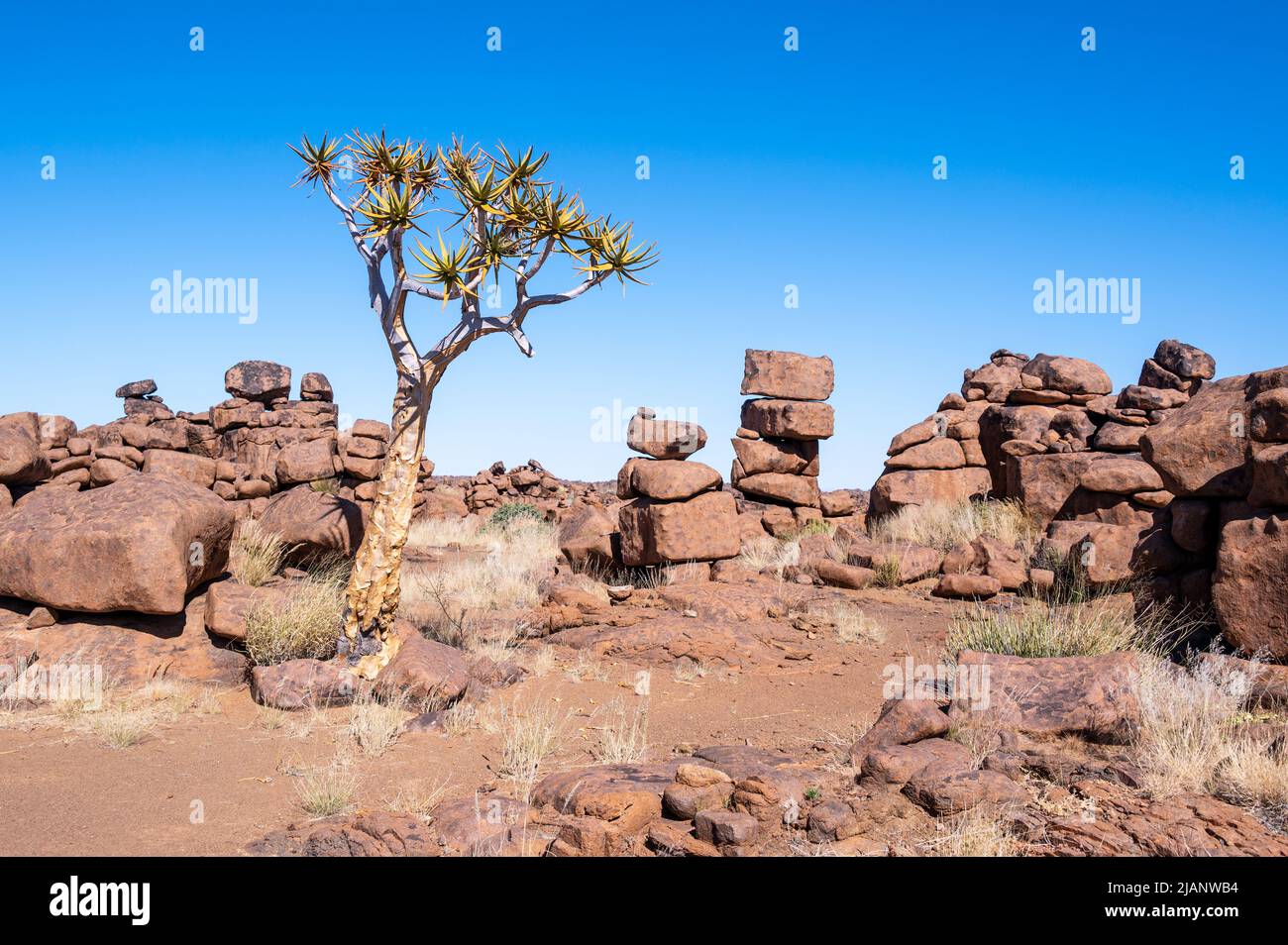Quiver Tree Forest near Keetmanshoop, Namibia. Topography of arid ...