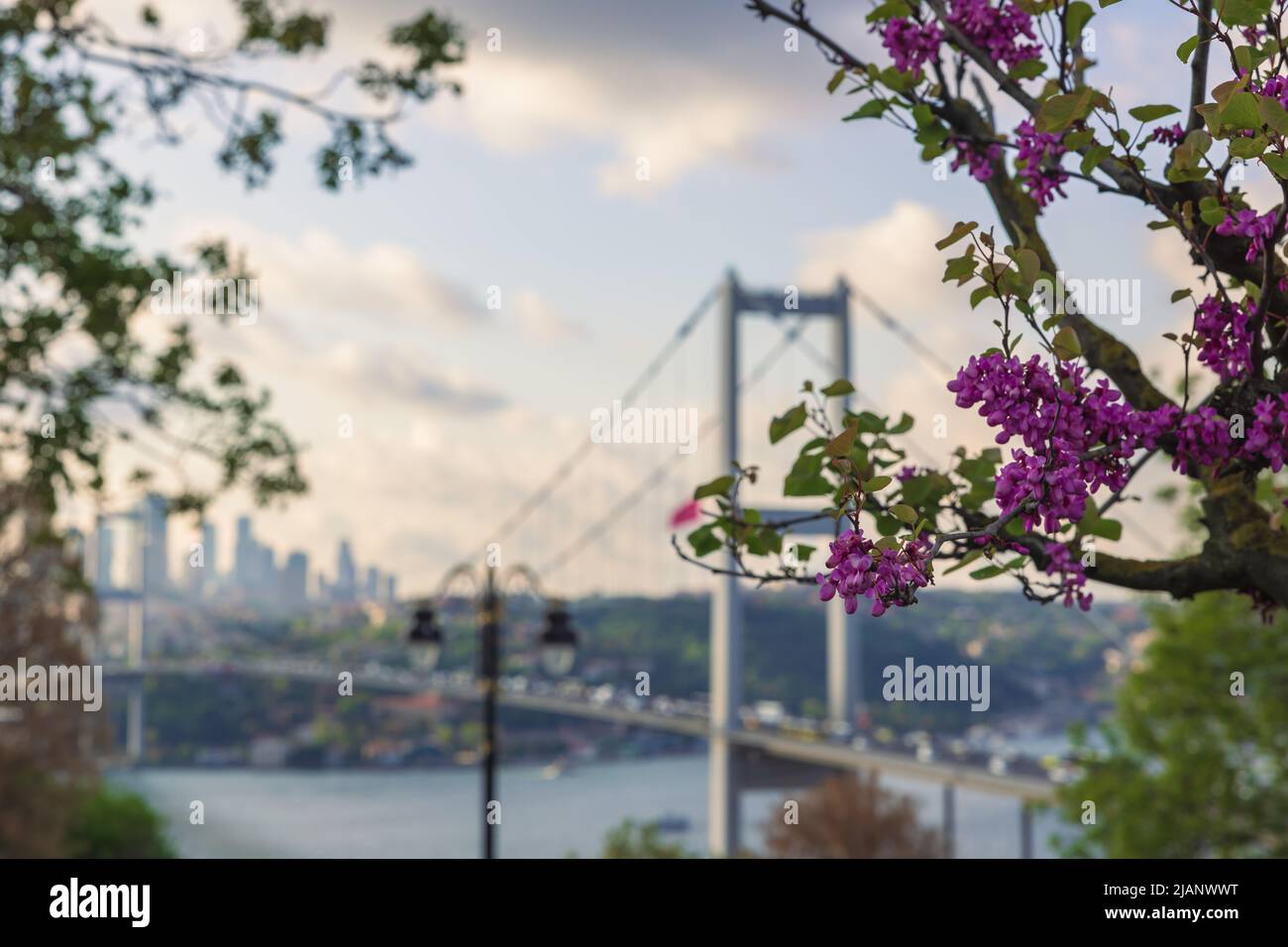 Istanbul in spring hi-res stock photography and images - Alamy